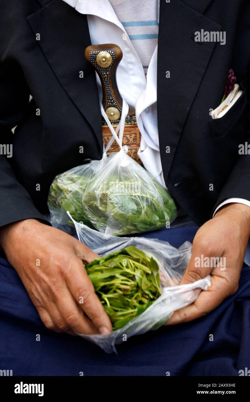 Qat leaves hi-res stock photography and images - Alamy
