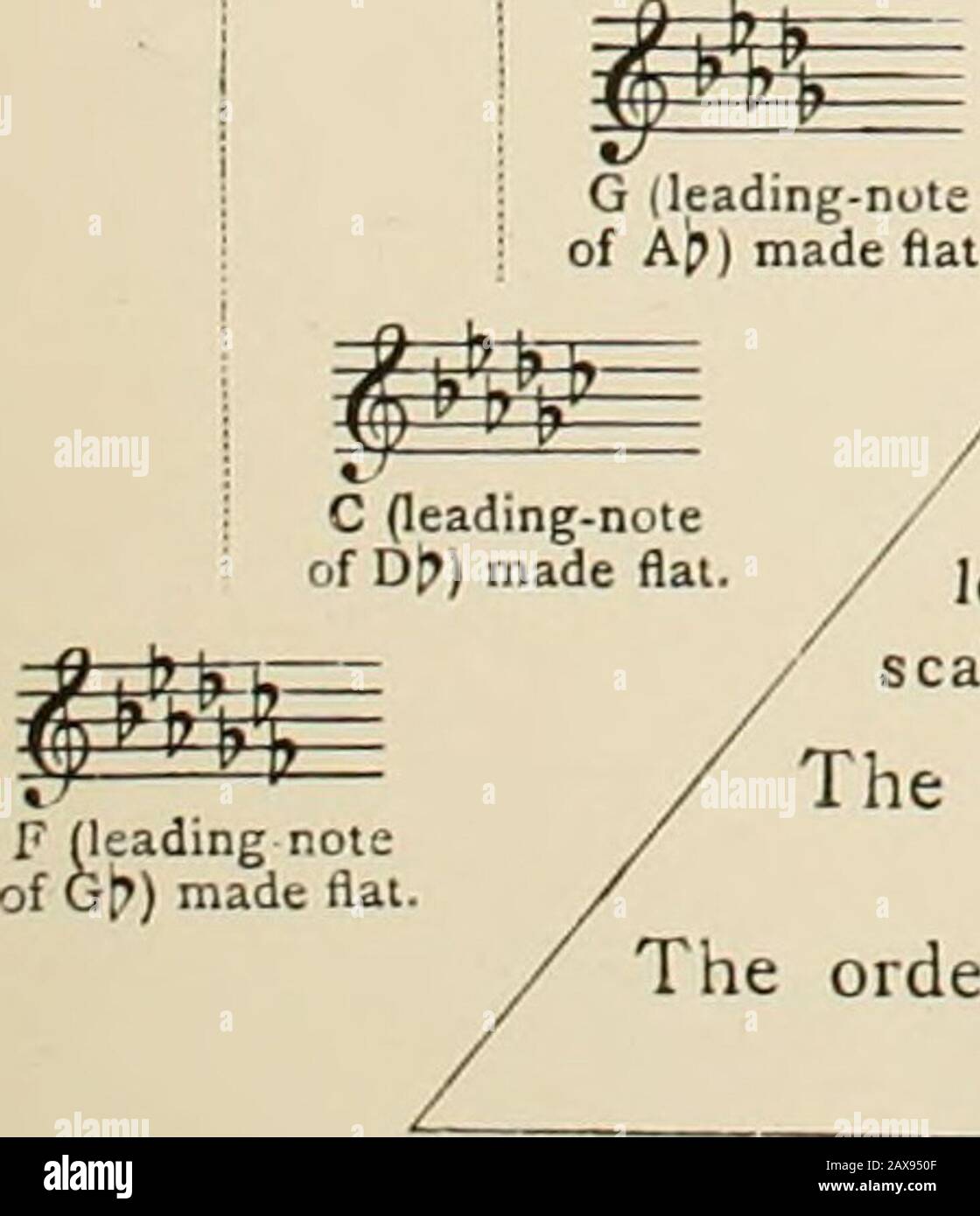 Appendix Diagram High Resolution Stock Photography and Images - Alamy