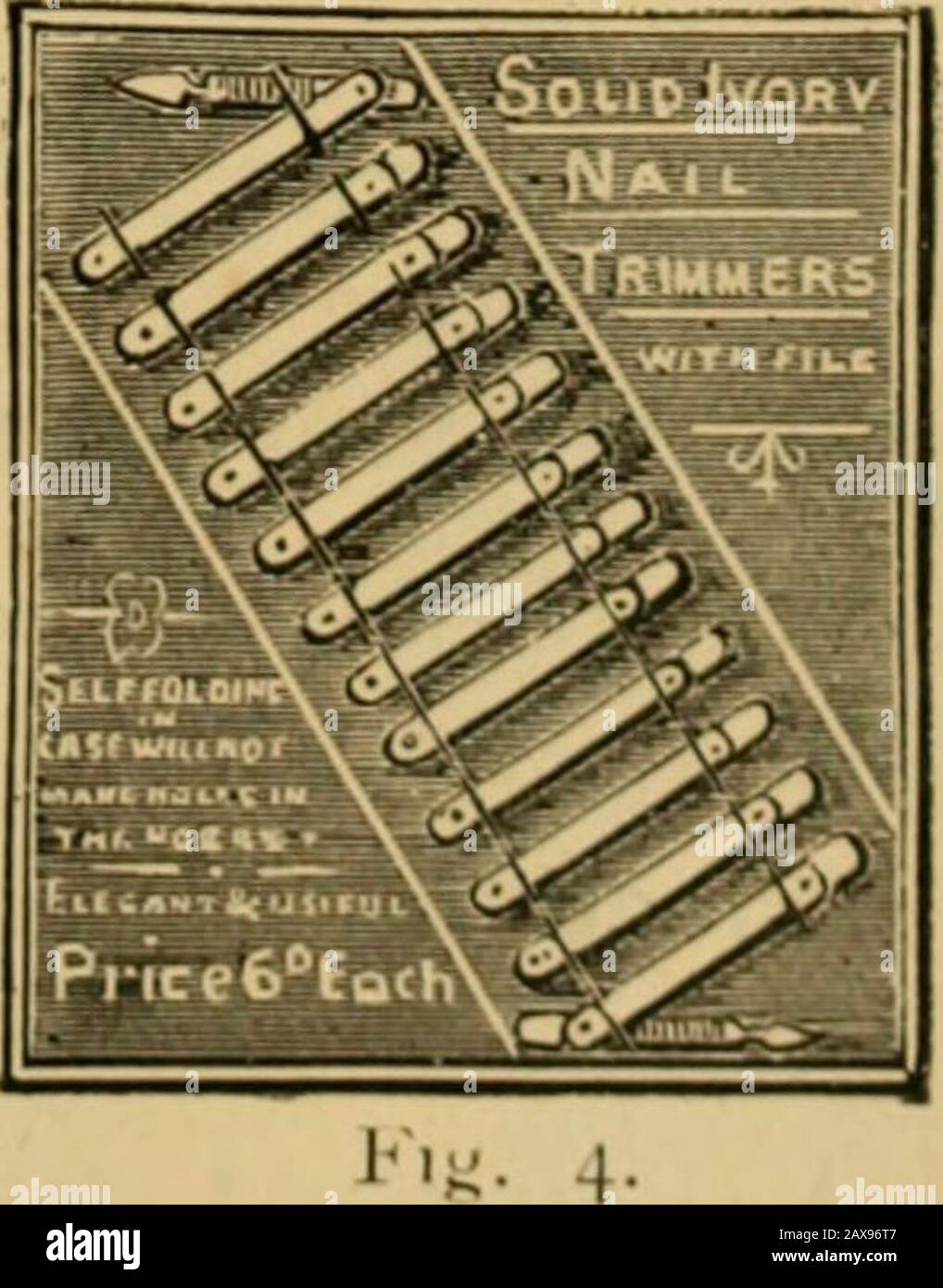 Ivory shields hi-res stock photography and images - Alamy