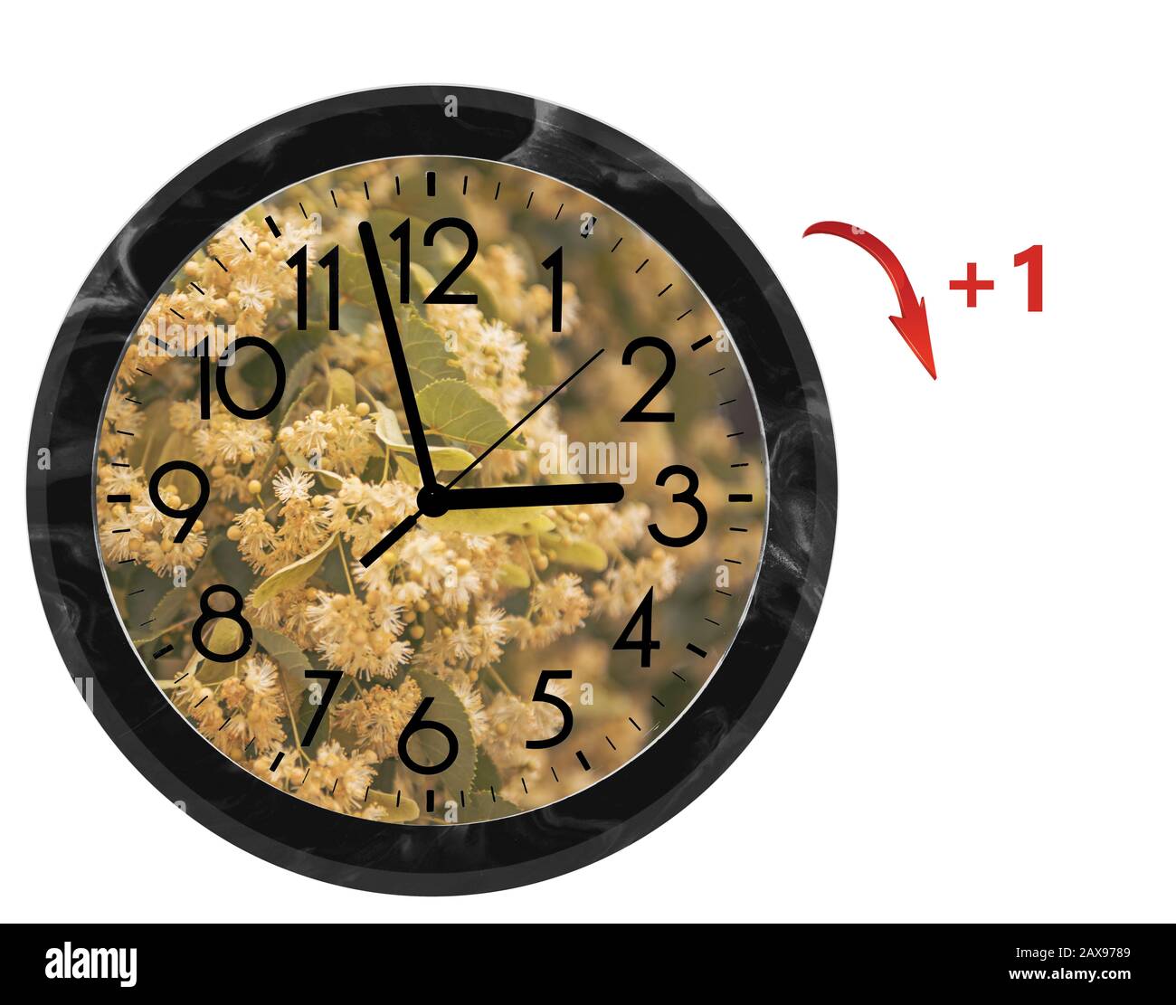 Savings concept summer Cut Out Stock Images & Pictures - Alamy