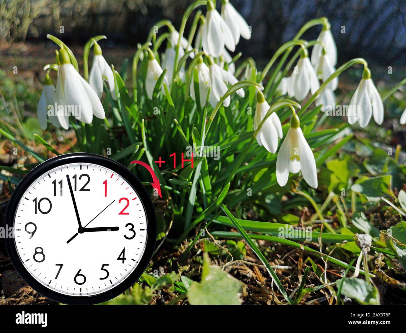 Daylight Saving Time (DST). Blue sky with white clouds and clock. Turn ...