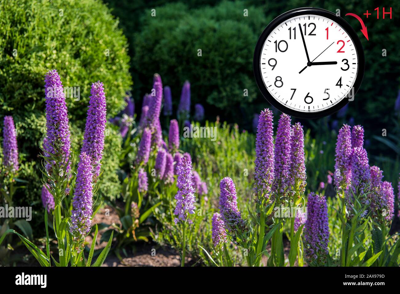 Daylight Saving Time (DST). Blue sky with white clouds and clock. Turn ...