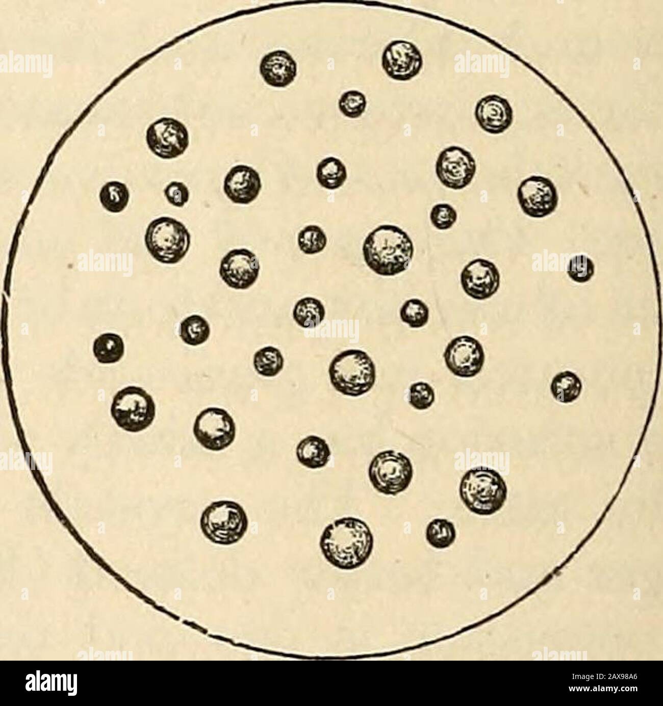On poisons in relation to medical jurisprudence and medicine . Mercury ...