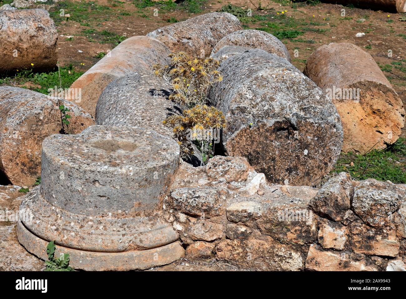 Greece, Crete, ancient Minoan ruins of Aptera Stock Photo - Alamy