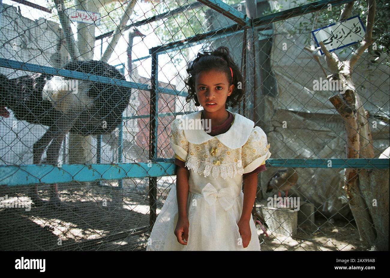 Ostrich pose hi-res stock photography and images - Alamy