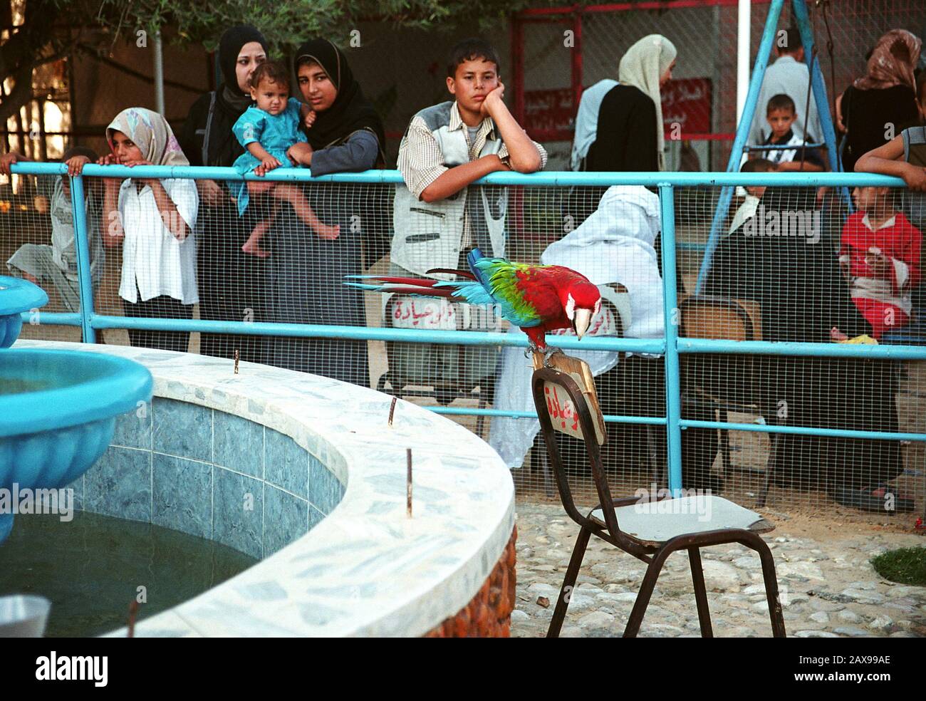Gaza zoo hi-res stock photography and images - Alamy