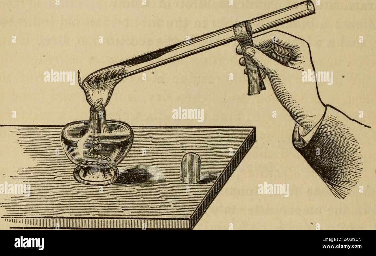 Manual of chemical analysis as applied to the examination of medicinal ...