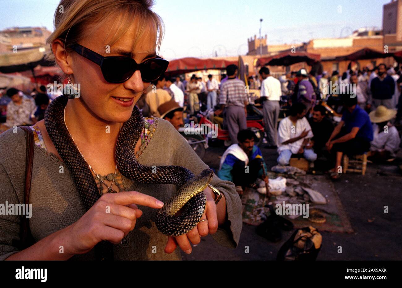 Carrying snake hi-res stock photography and images - Alamy