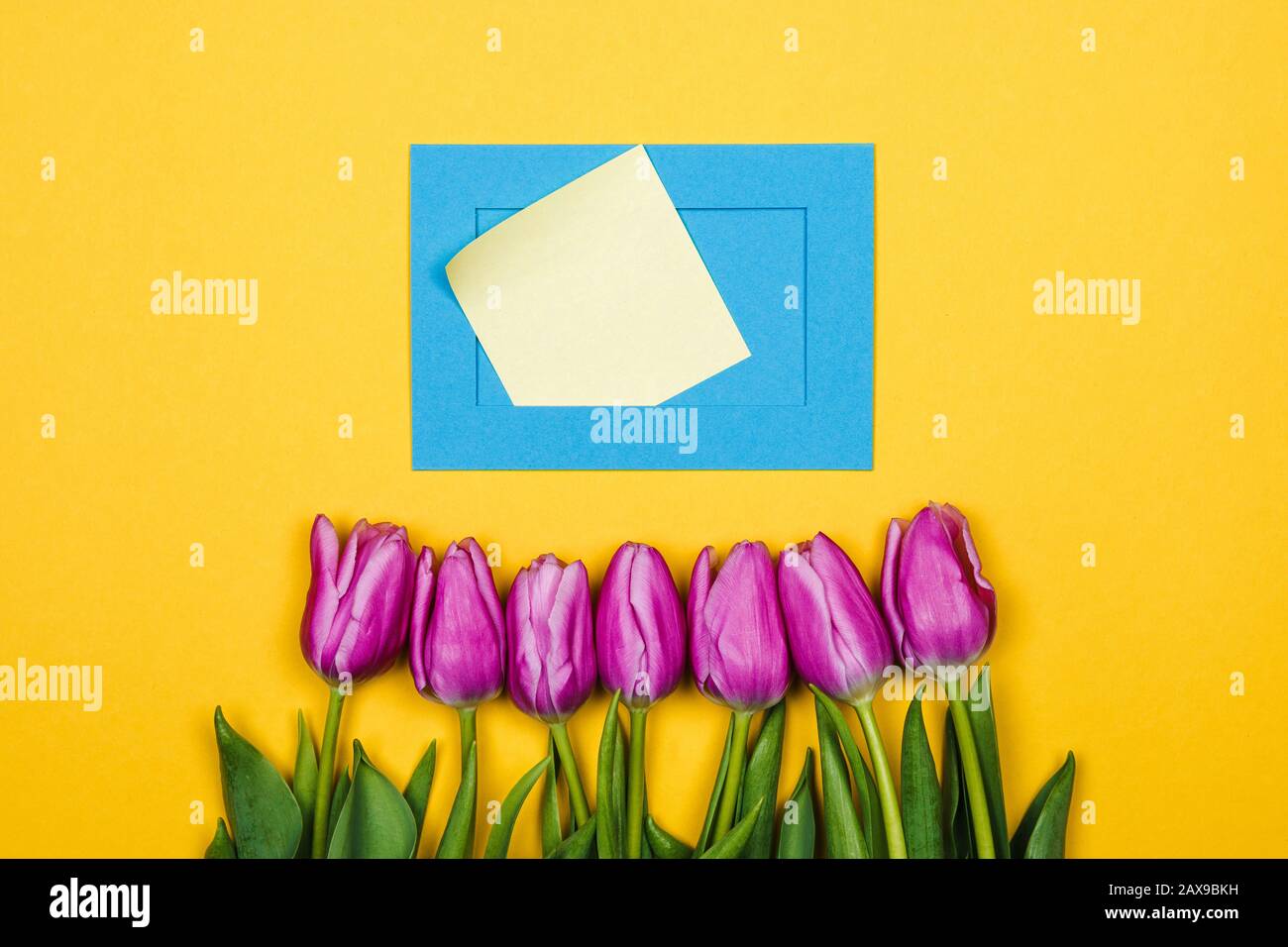 womens day background. pink tulips and sticky note on yellow background ...
