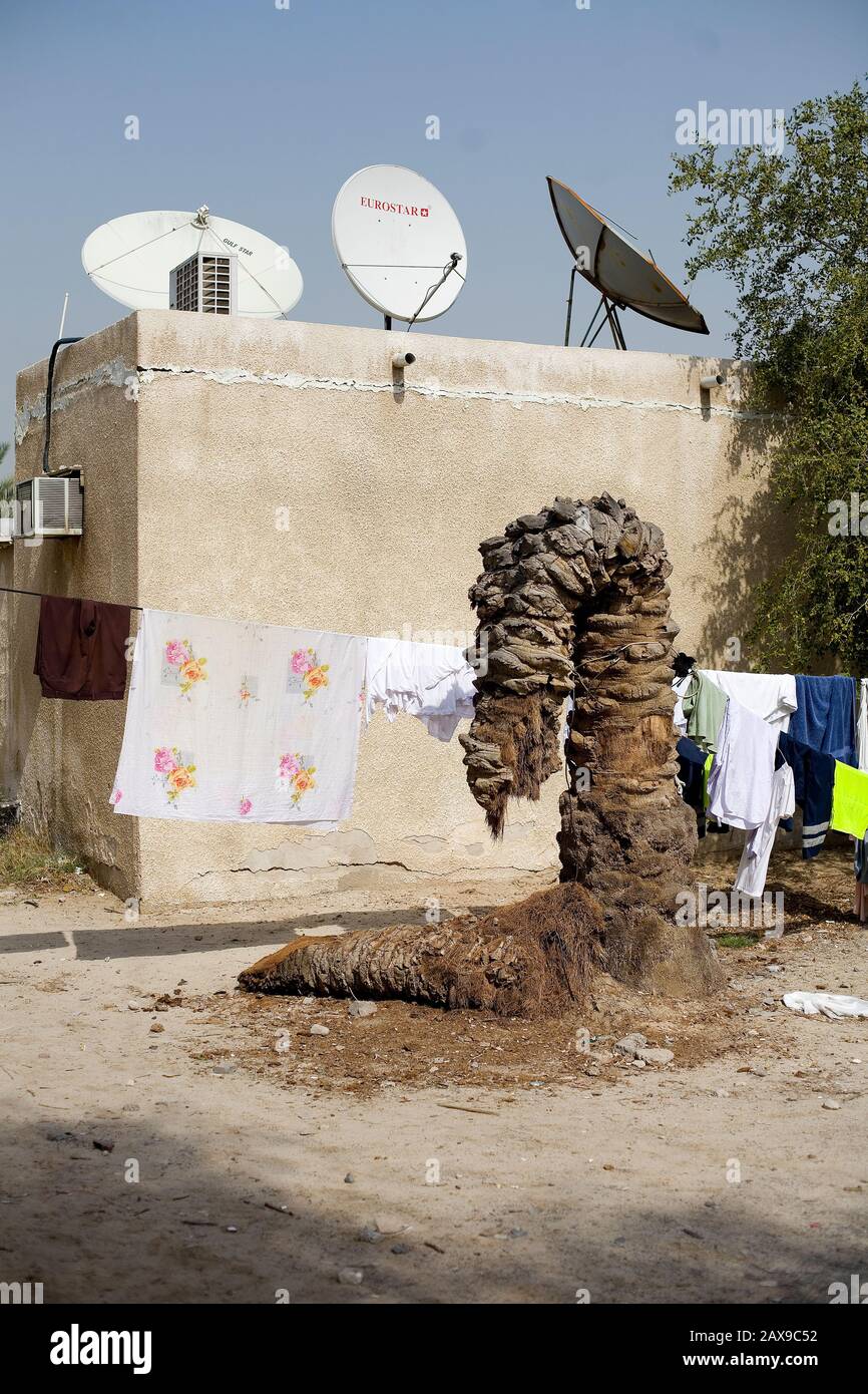 Satellite dish tree hi-res stock photography and images - Alamy