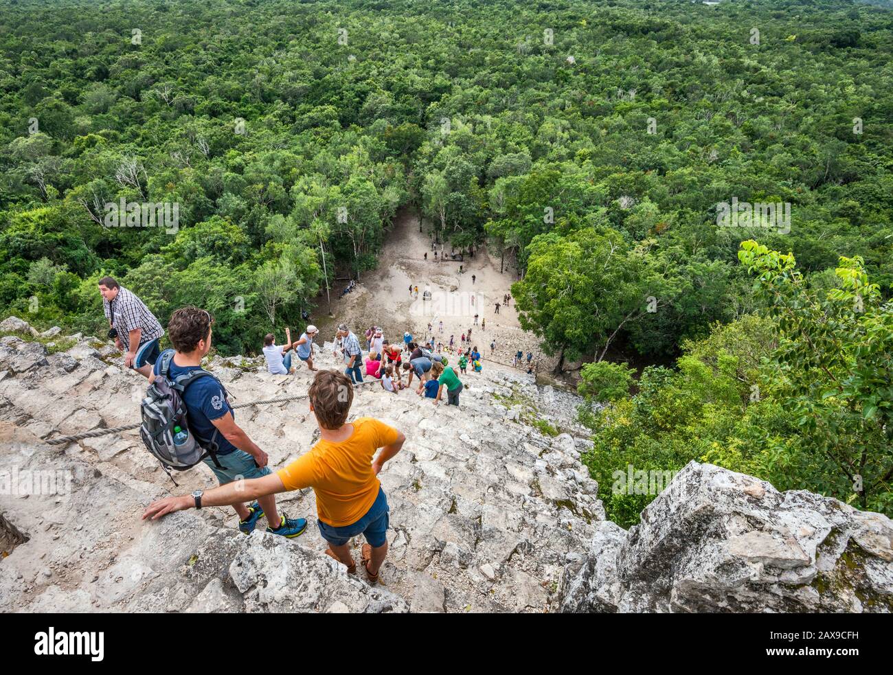 View of rainforest jungle from top of Nohoch Mul pyramid, Coba ...