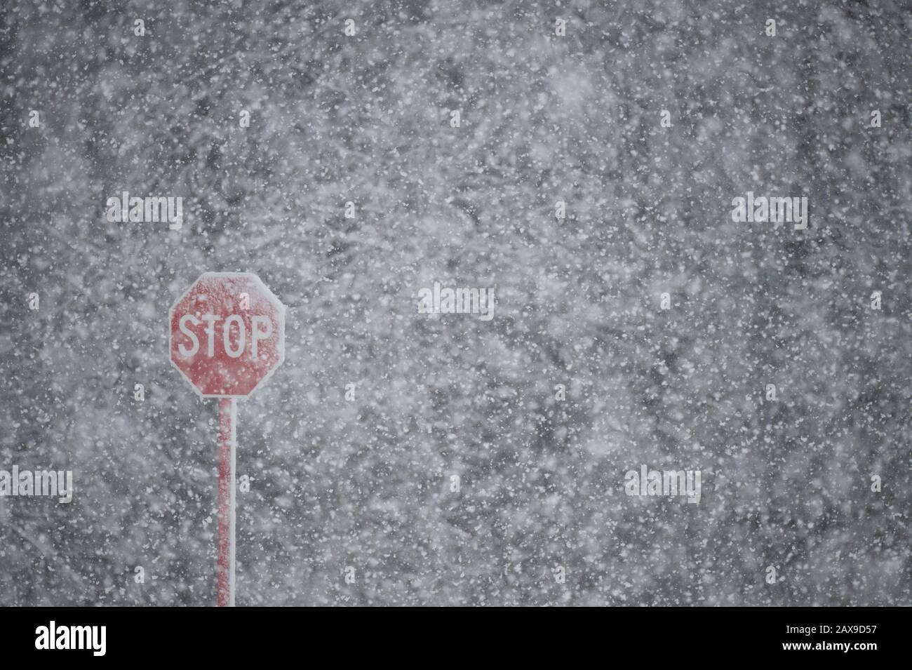 A bright red Stop Sign in a heavy falling snowfall on a cold winter day ...