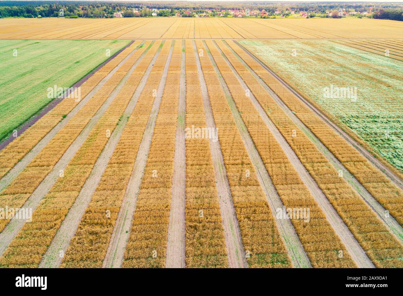 Plow lines hi-res stock photography and images - Alamy