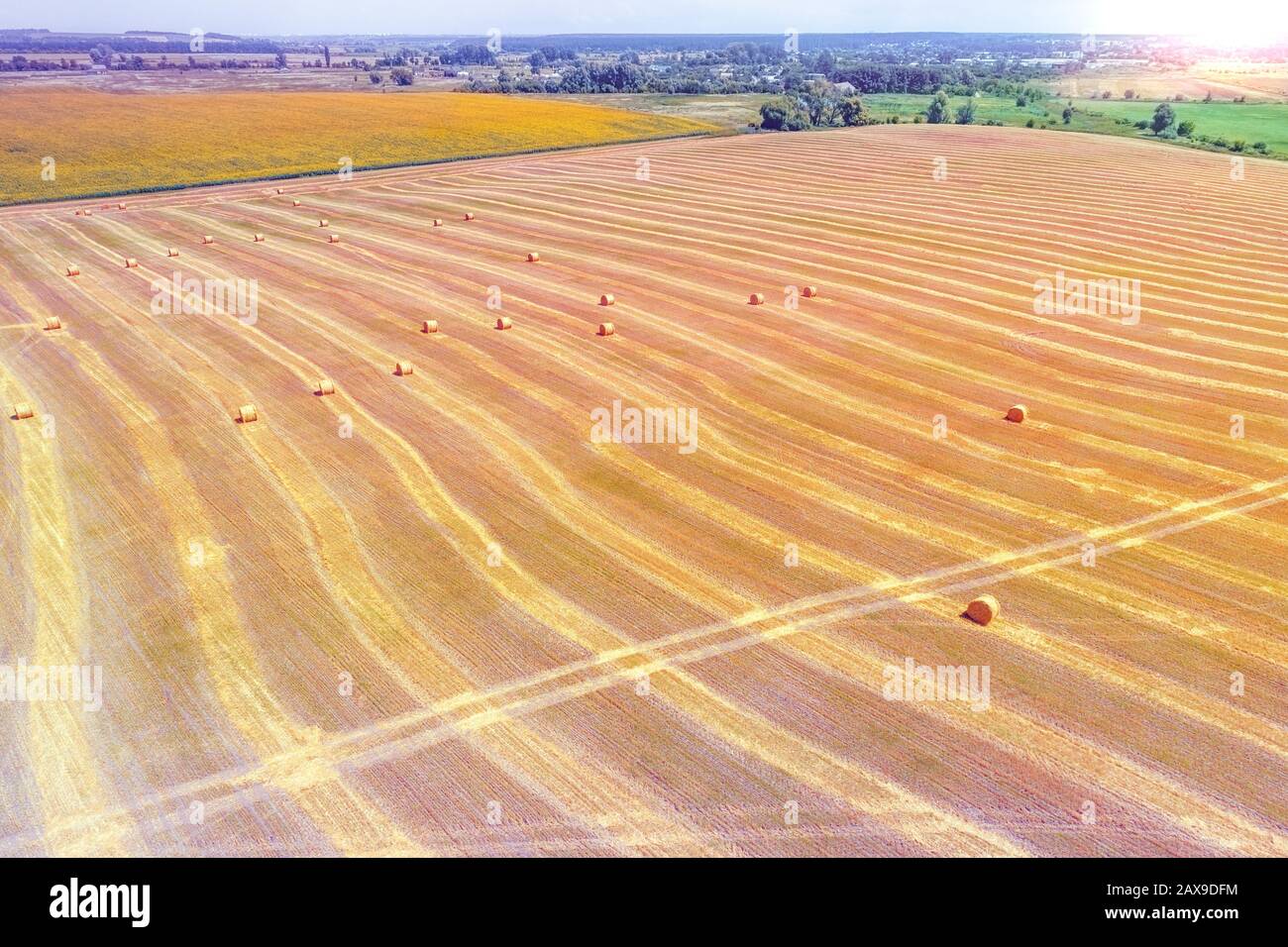 Harvesting wheat. Mowed wheat field. Baling straw Stock Photo - Alamy