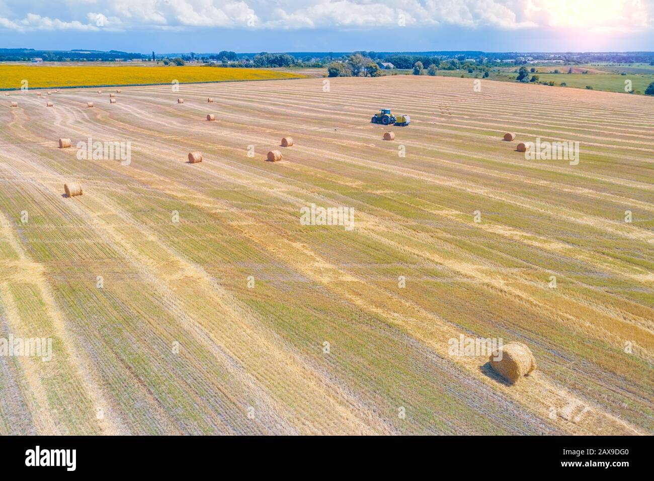 Harvesting wheat. Mowed wheat field. Baling straw Stock Photo - Alamy