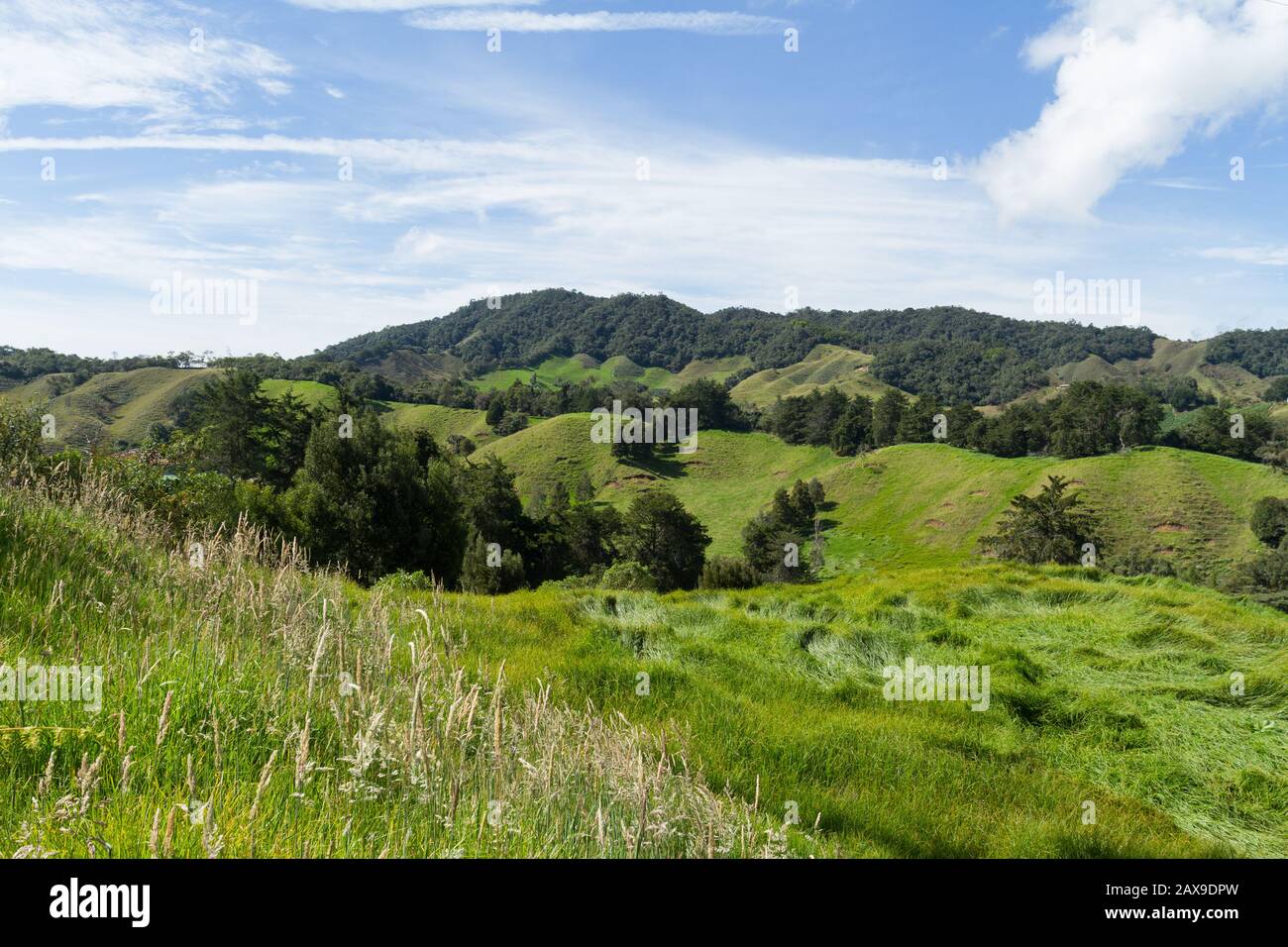 Green and beautiful mountains in Antioquia, Colombia Stock Photo - Alamy