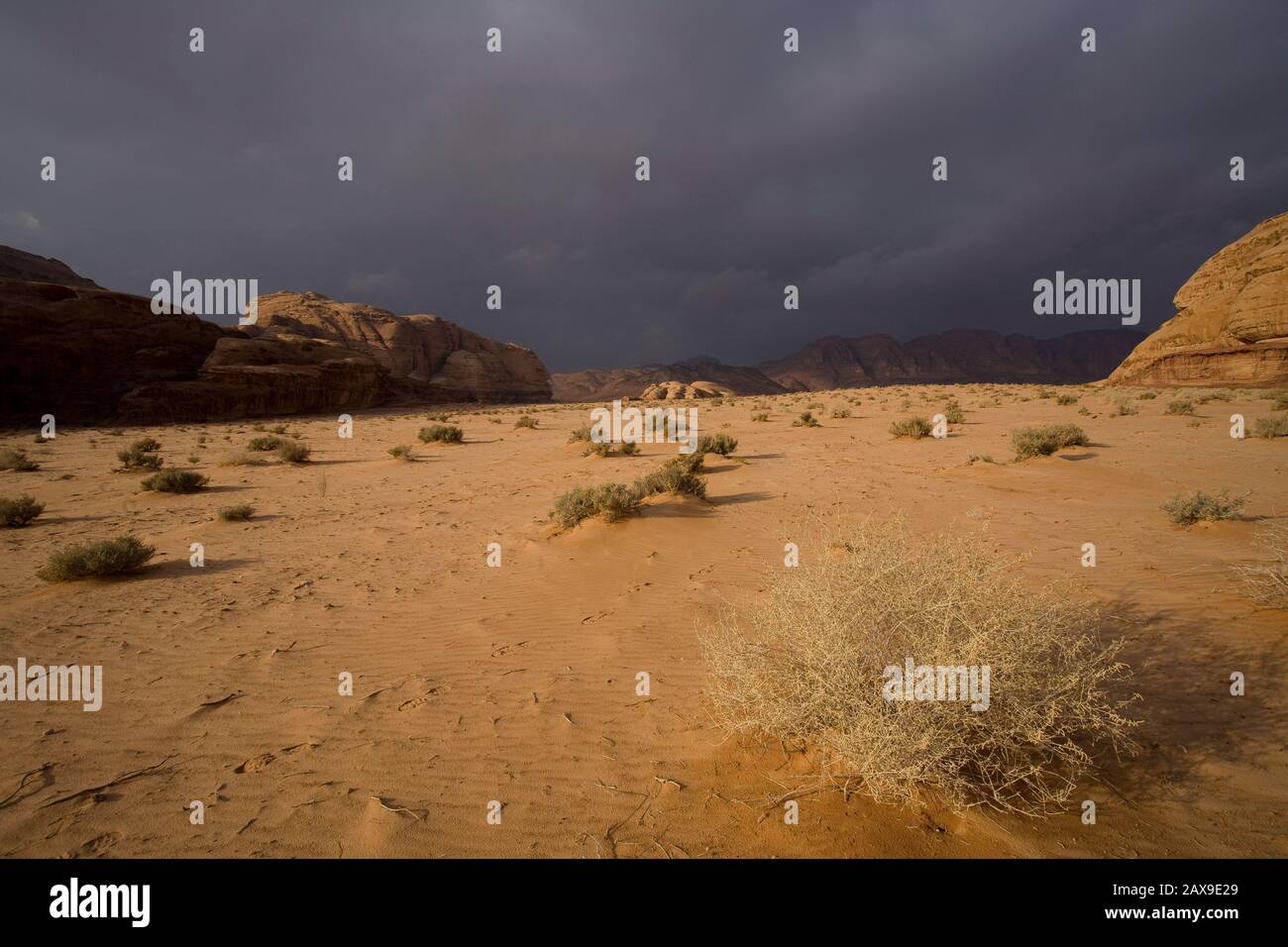 Desertscape hi-res stock photography and images - Alamy