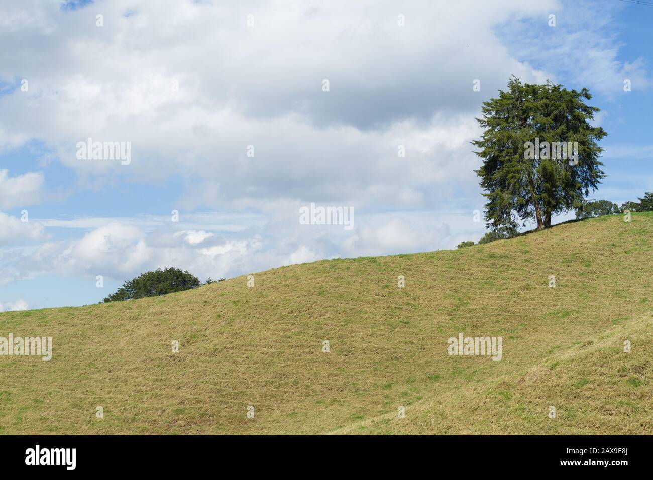 Green and beautiful mountains in Antioquia, Colombia Stock Photo - Alamy