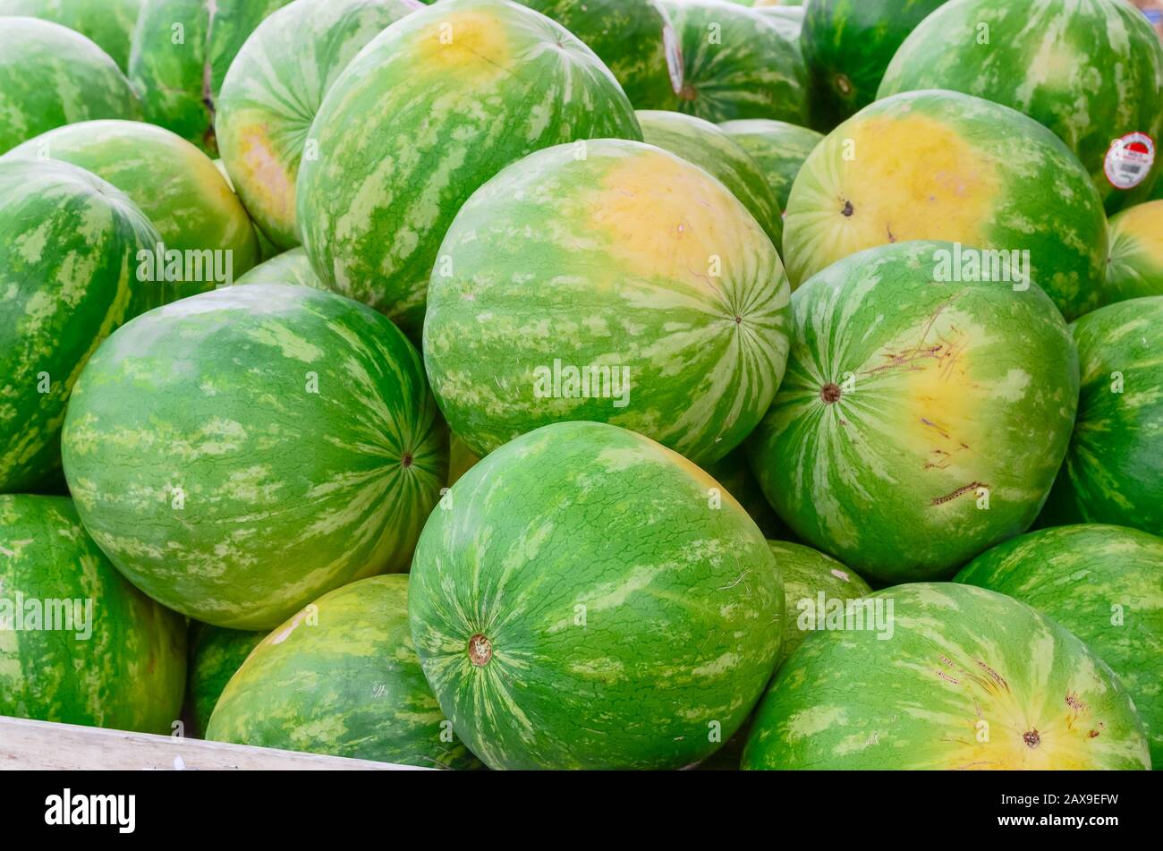 Bunch of raw whole watermelons background at farmer market in America ...