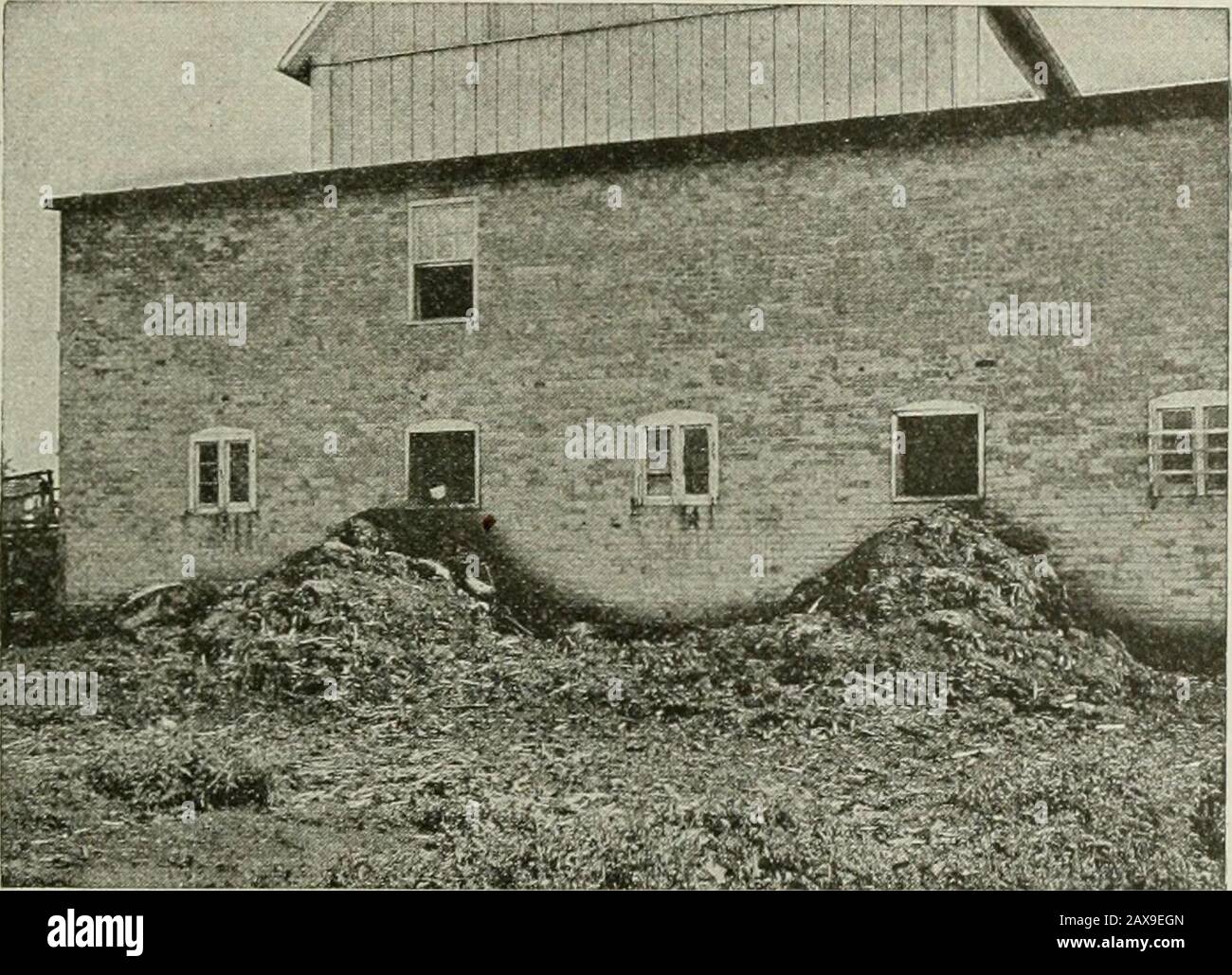 Barnyard mix hi-res stock photography and images - Alamy