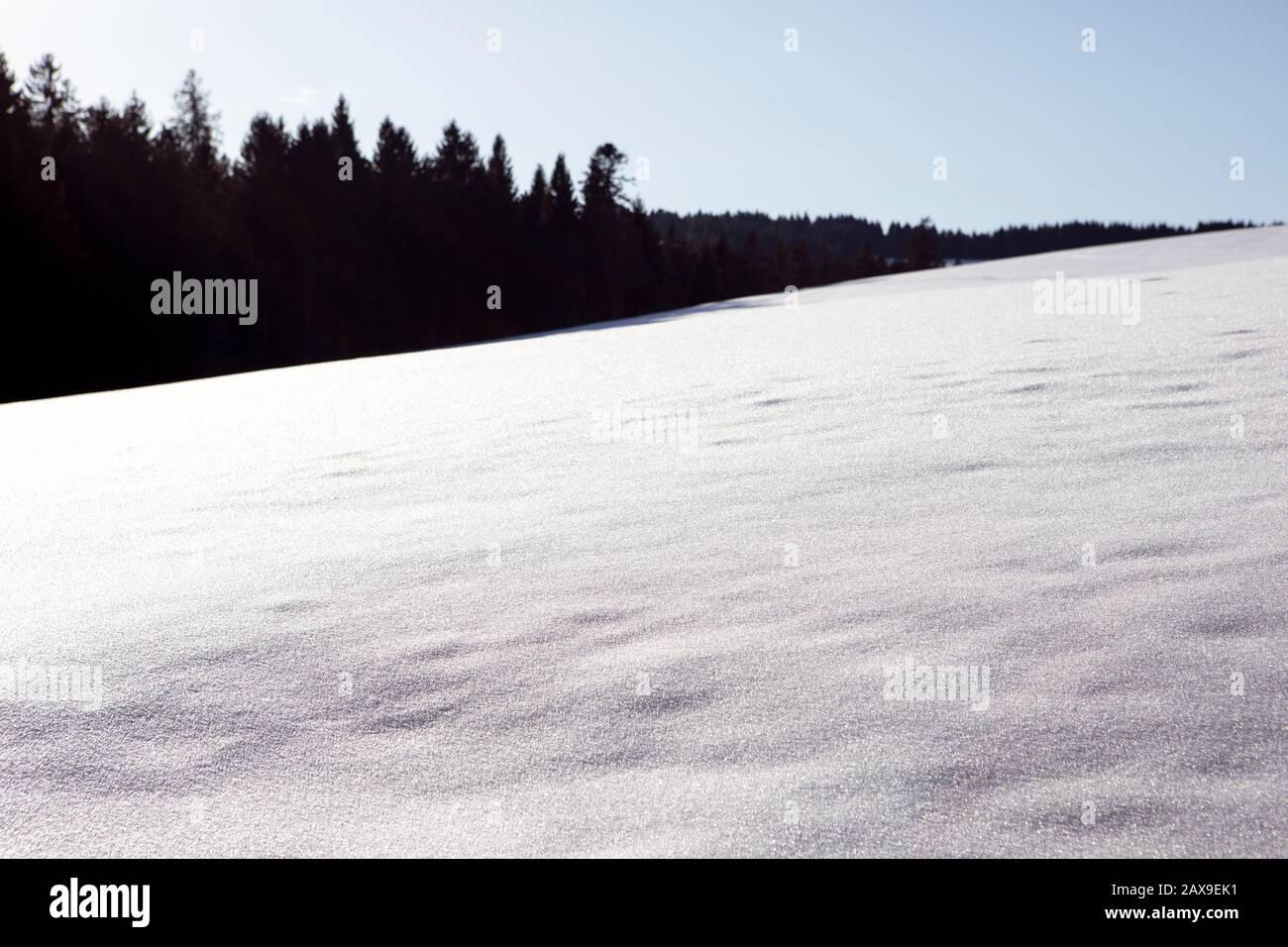 Hillside covered with white snow on dark coniferous trees background ...