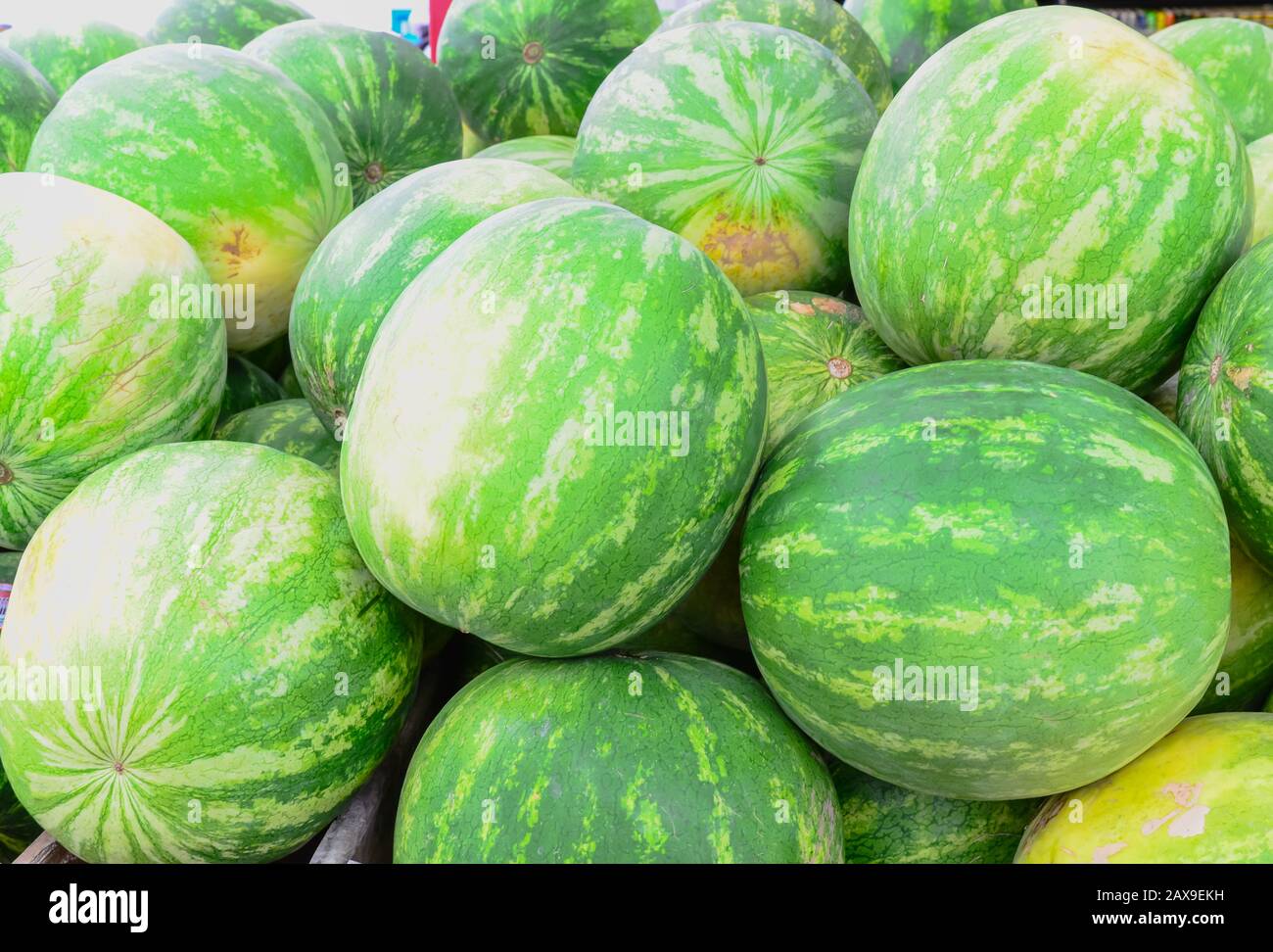 Bunch of raw whole watermelons background at farmer market in America ...