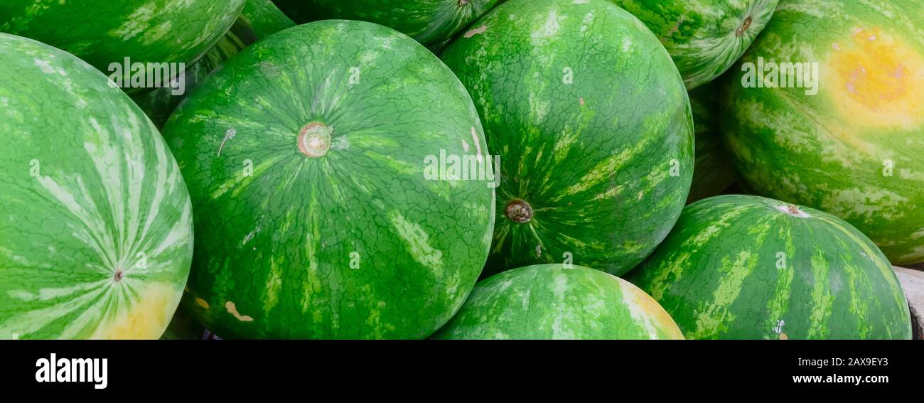 Panoramic background bunch of raw whole watermelons at farmer market in ...