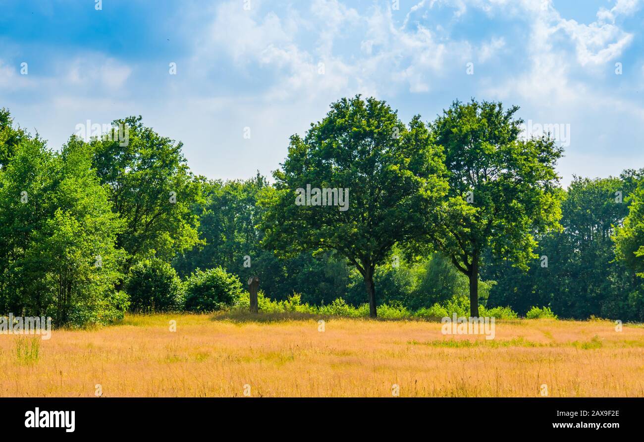 Gold Zoom Background High Resolution Stock Photography and Images - Alamy