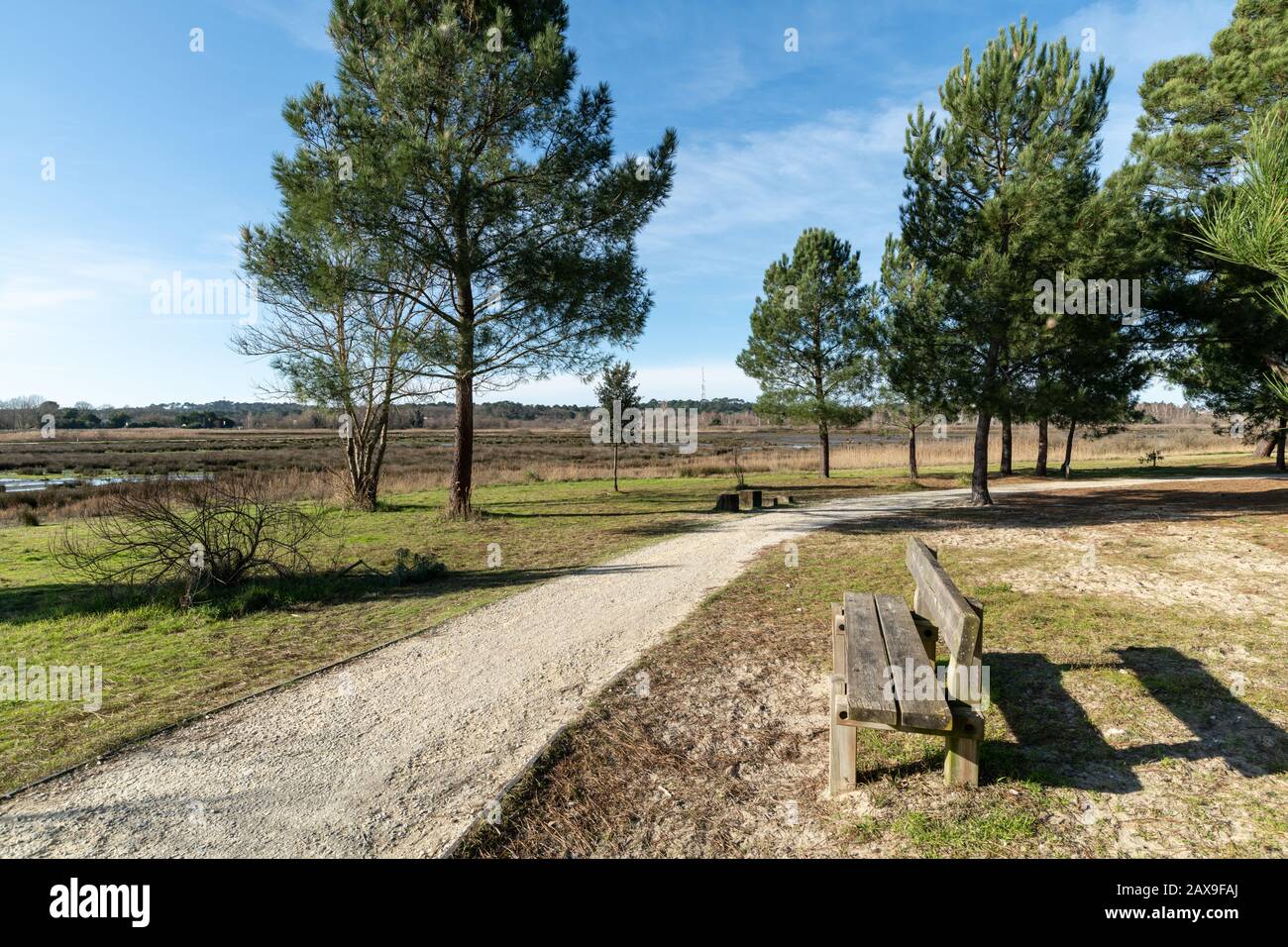 Atlantic salt meadows hi-res stock photography and images - Alamy