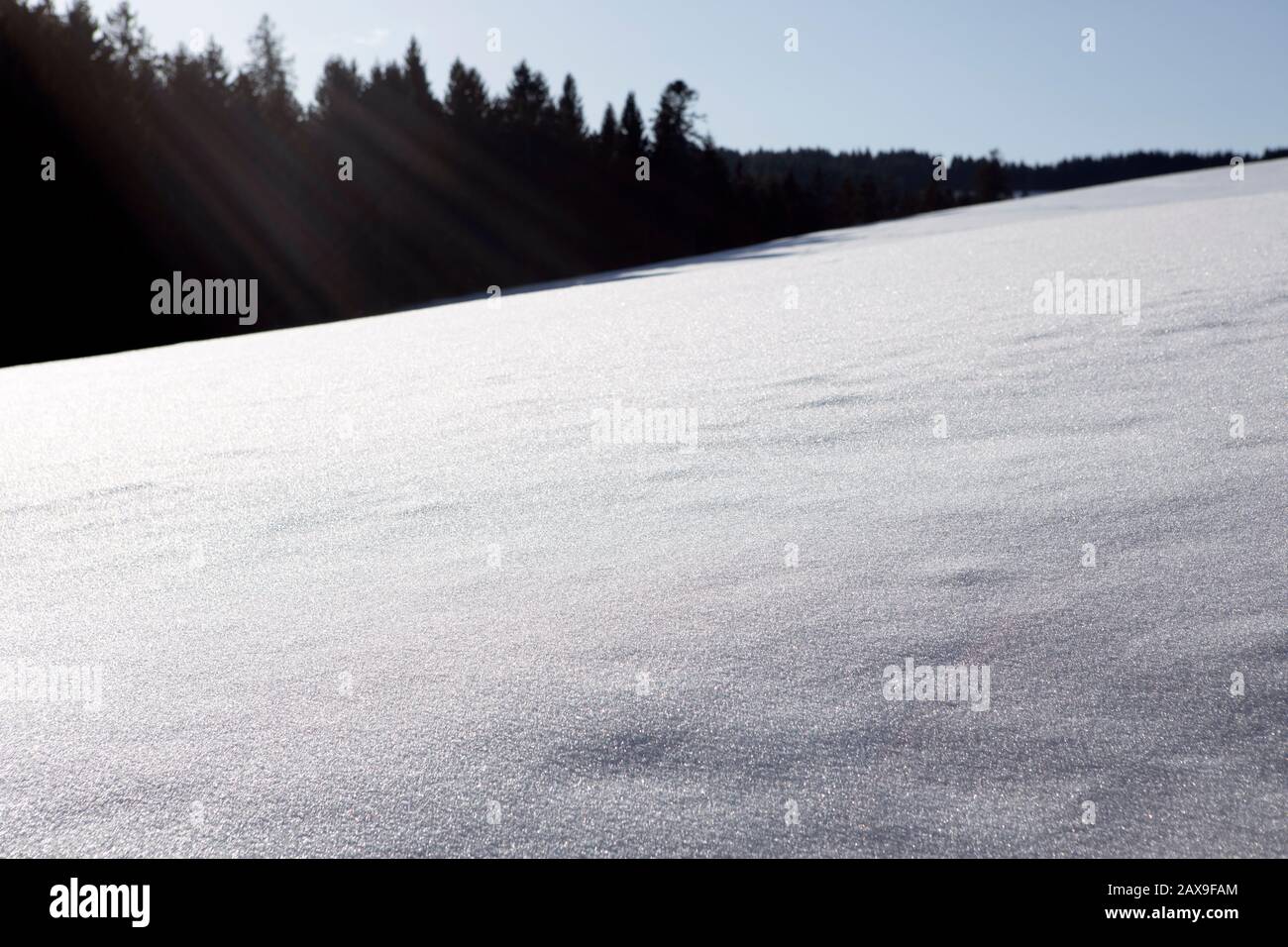 Sunlight on snowy slope visible snow texture. Hillside covered with ...