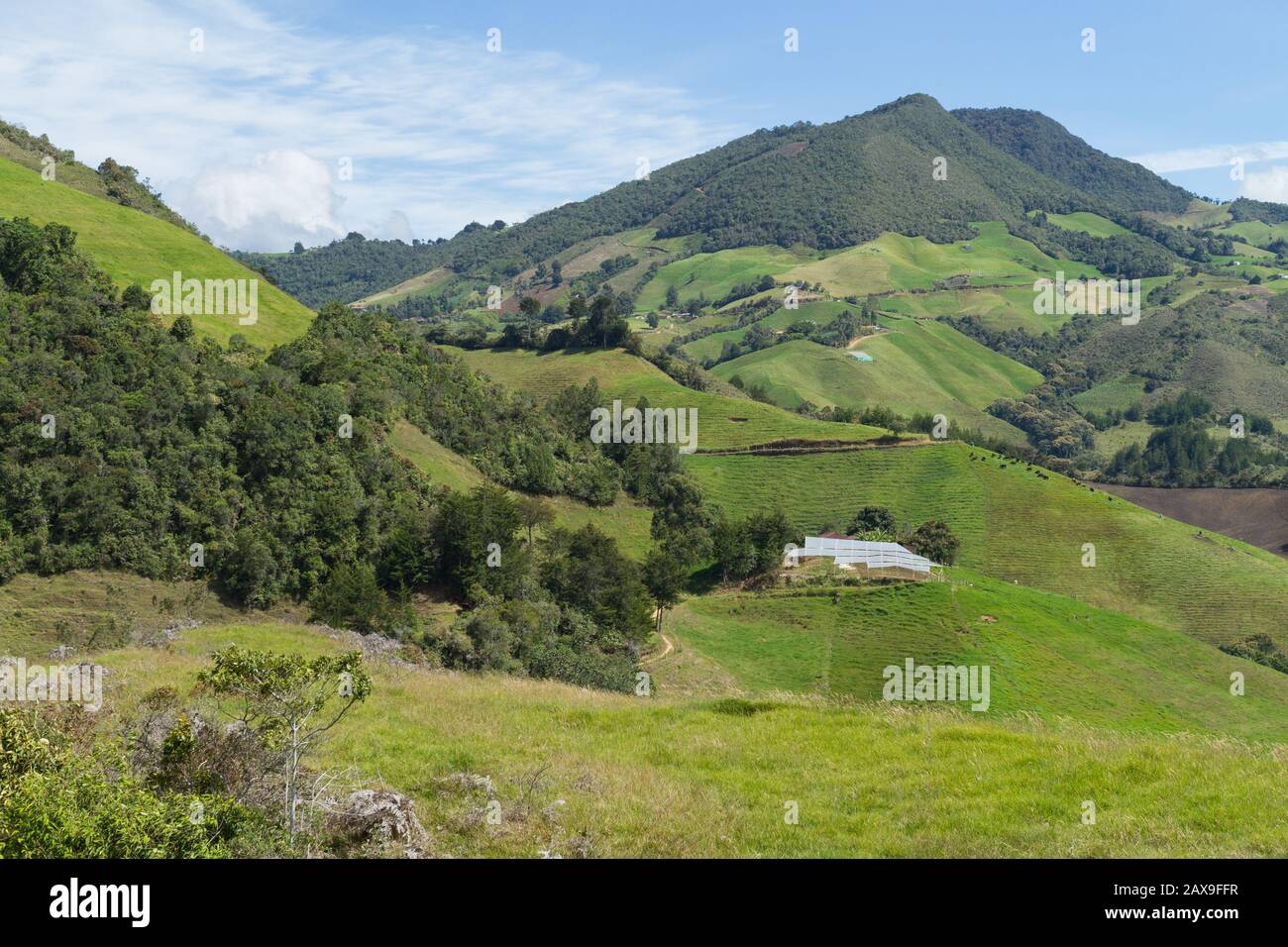 Green and beautiful mountains in Antioquia, Colombia Stock Photo - Alamy