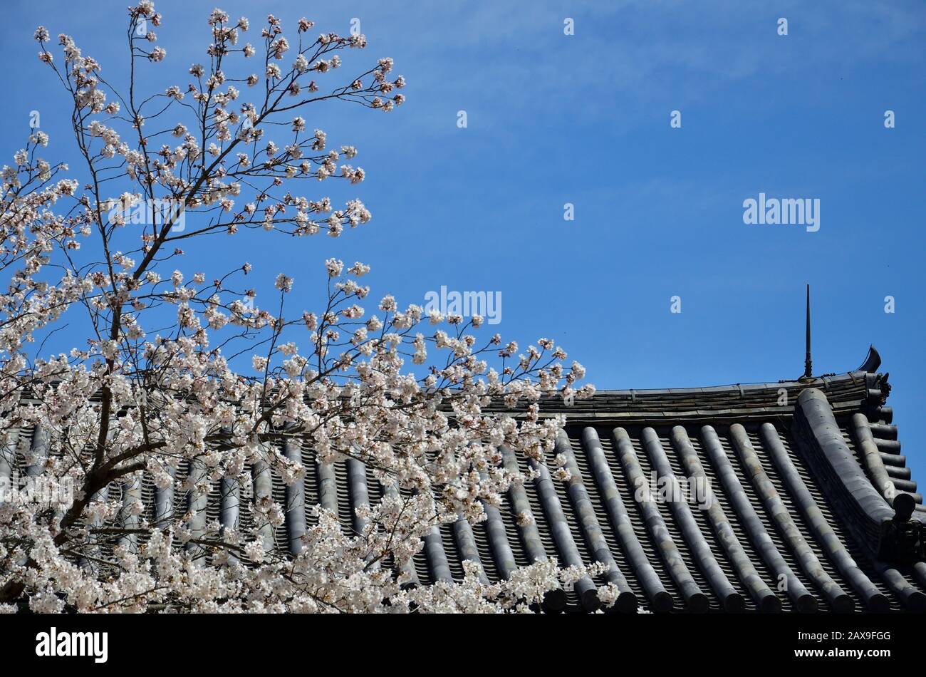 Detail on japanese temple roof hi-res stock photography and images - Alamy