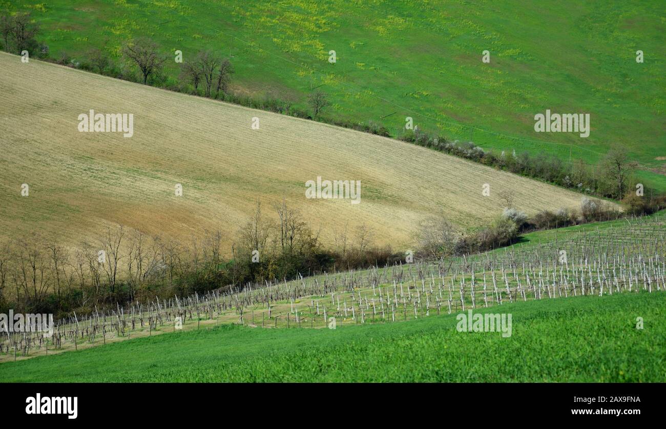 The worked land creates contrast with the green meadows and the angle ...