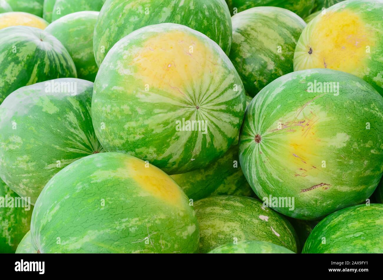 Bunch of raw whole watermelons background at farmer market in America ...