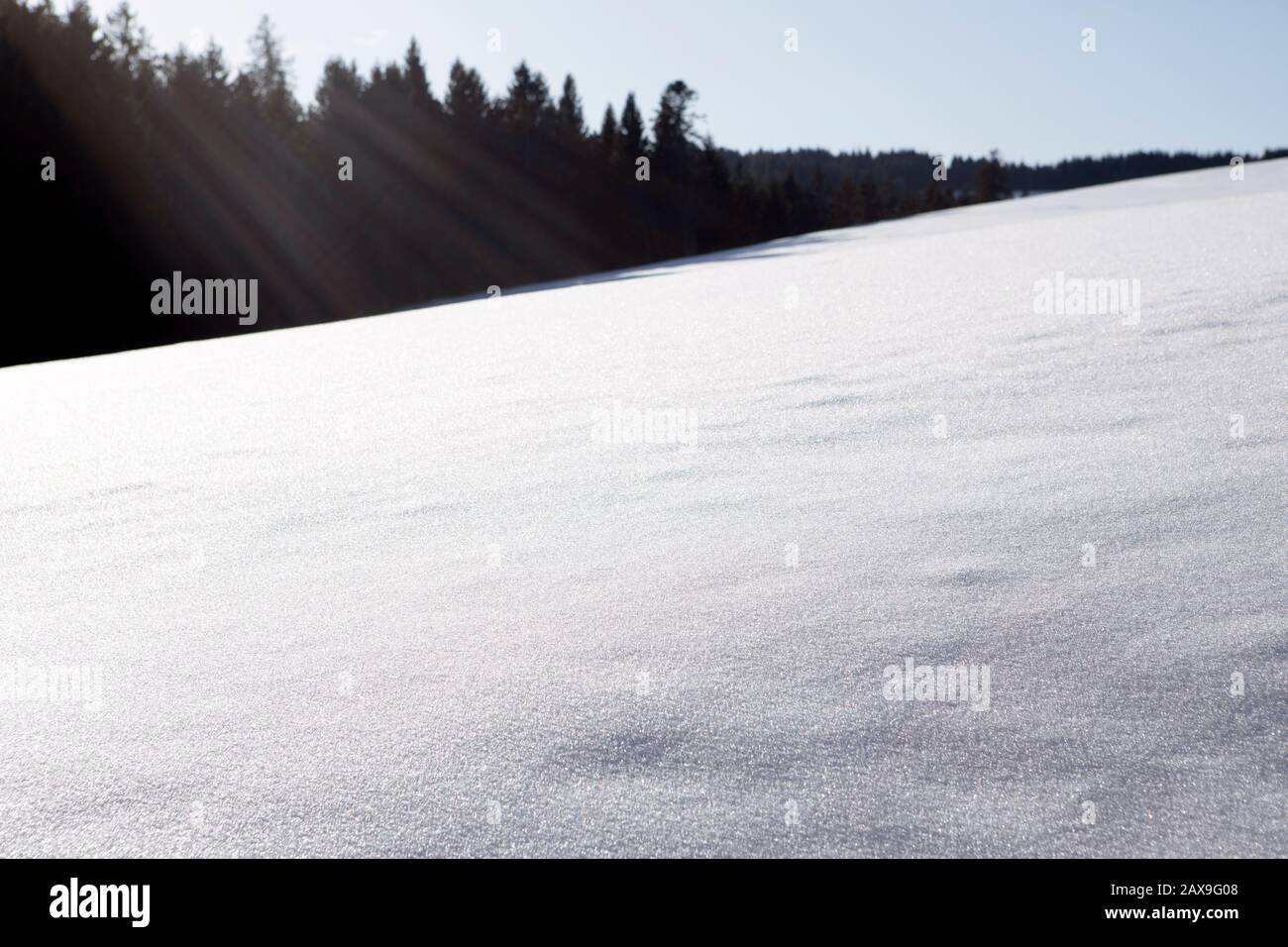 Visible sun rays on snow surface. Hillside slope covered with white ...