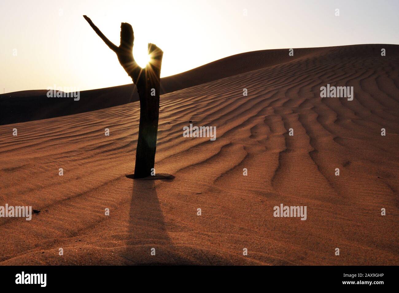 Arab khaima hi-res stock photography and images - Alamy