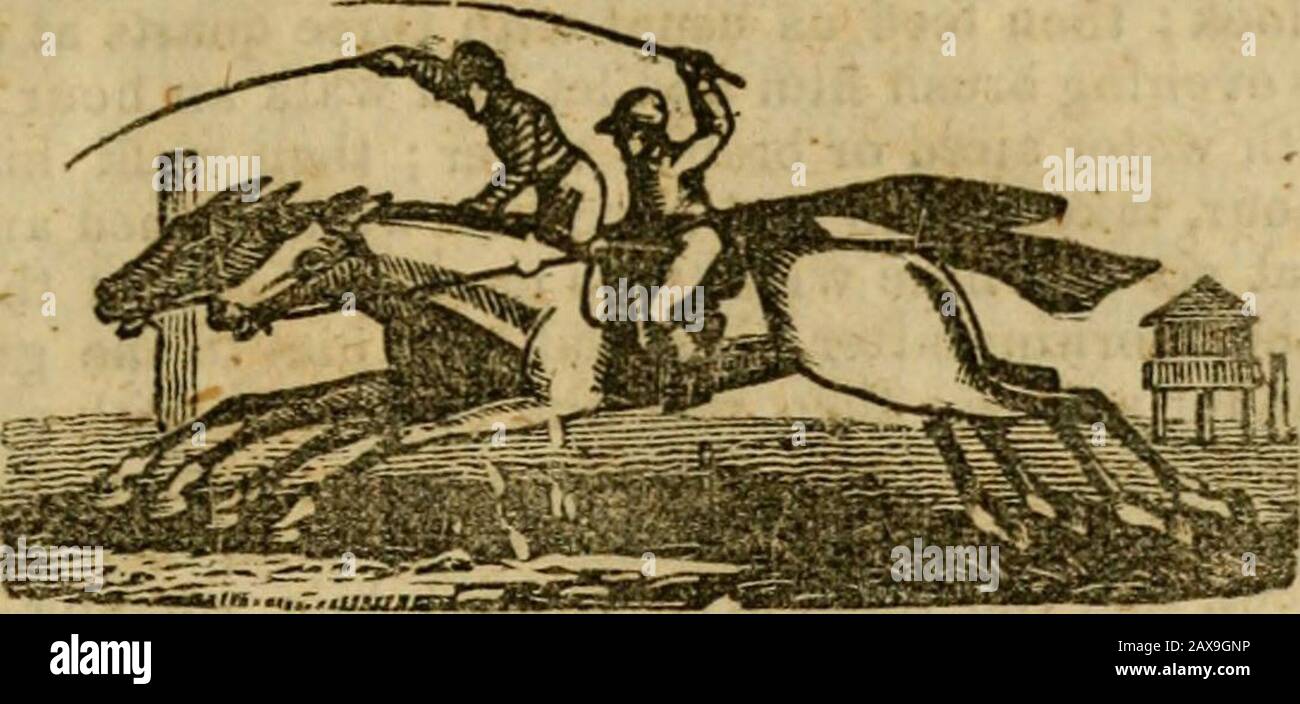 Topgallant horse hi-res stock photography and images - Alamy