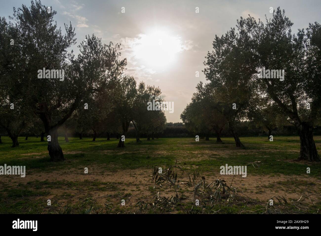 Sant mateu spain castellón hi-res stock photography and images - Alamy