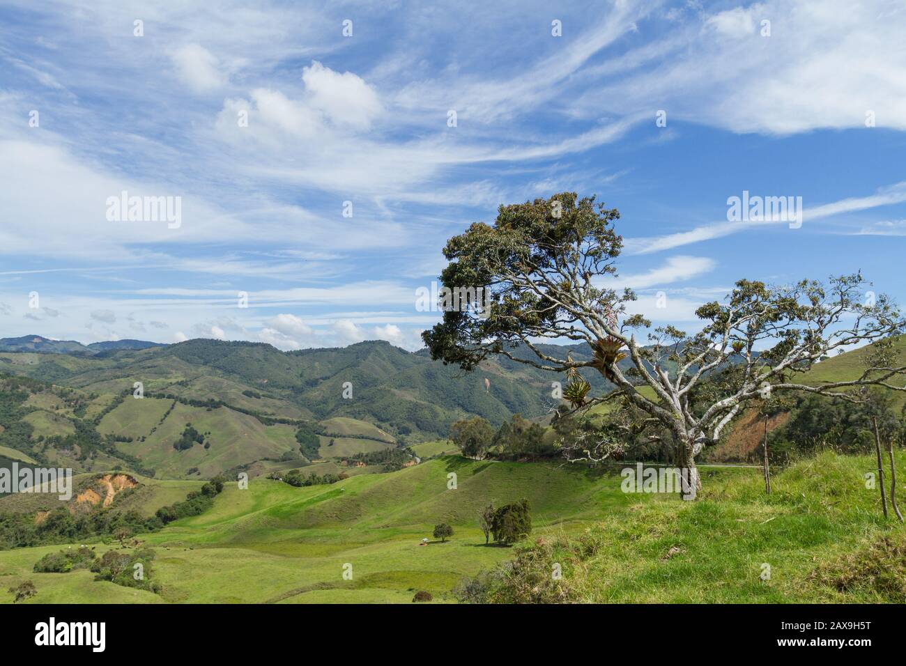 Green and beautiful mountains in Antioquia, Colombia Stock Photo - Alamy