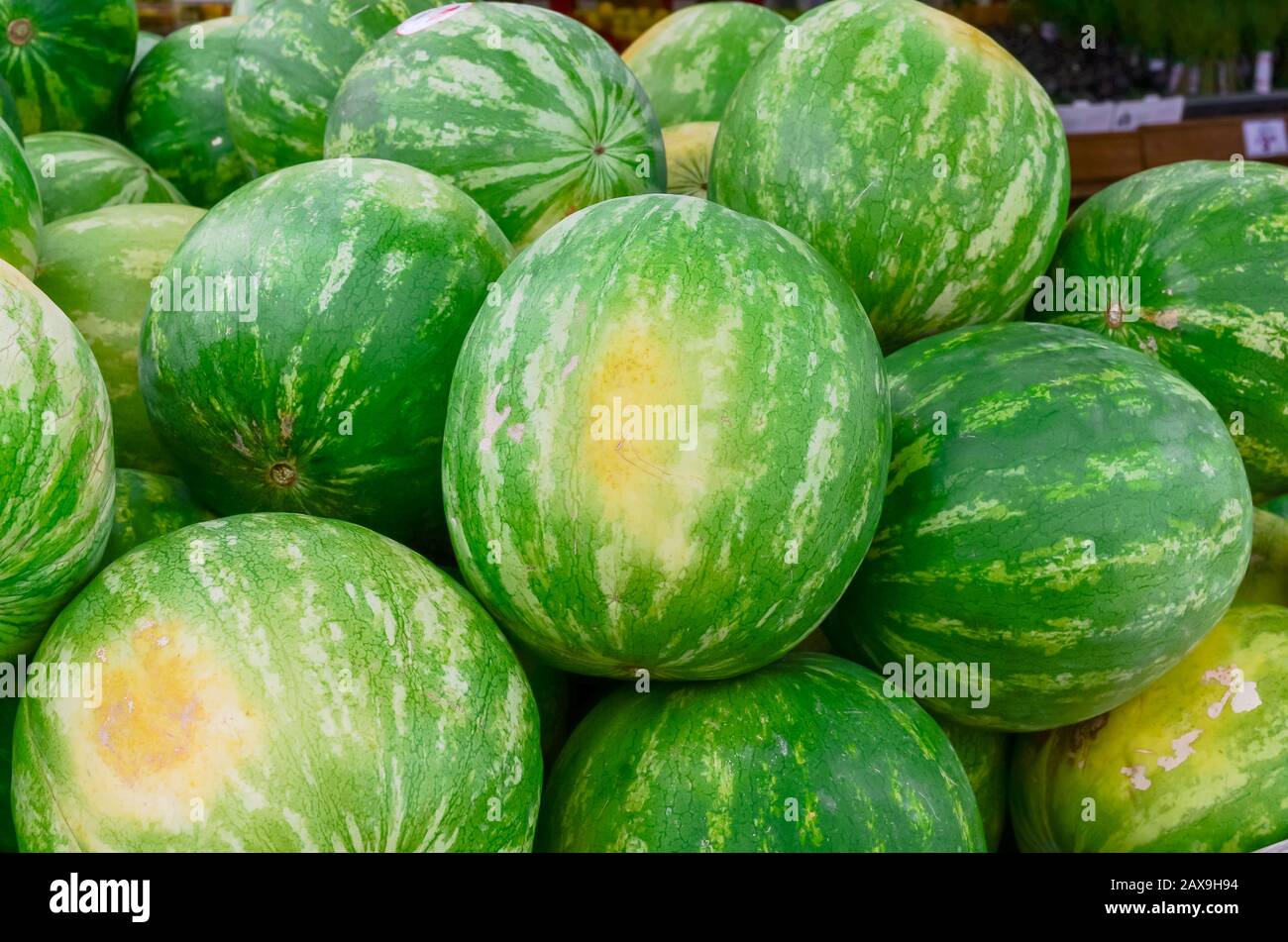 Bunch of raw whole watermelons background at farmer market in America ...