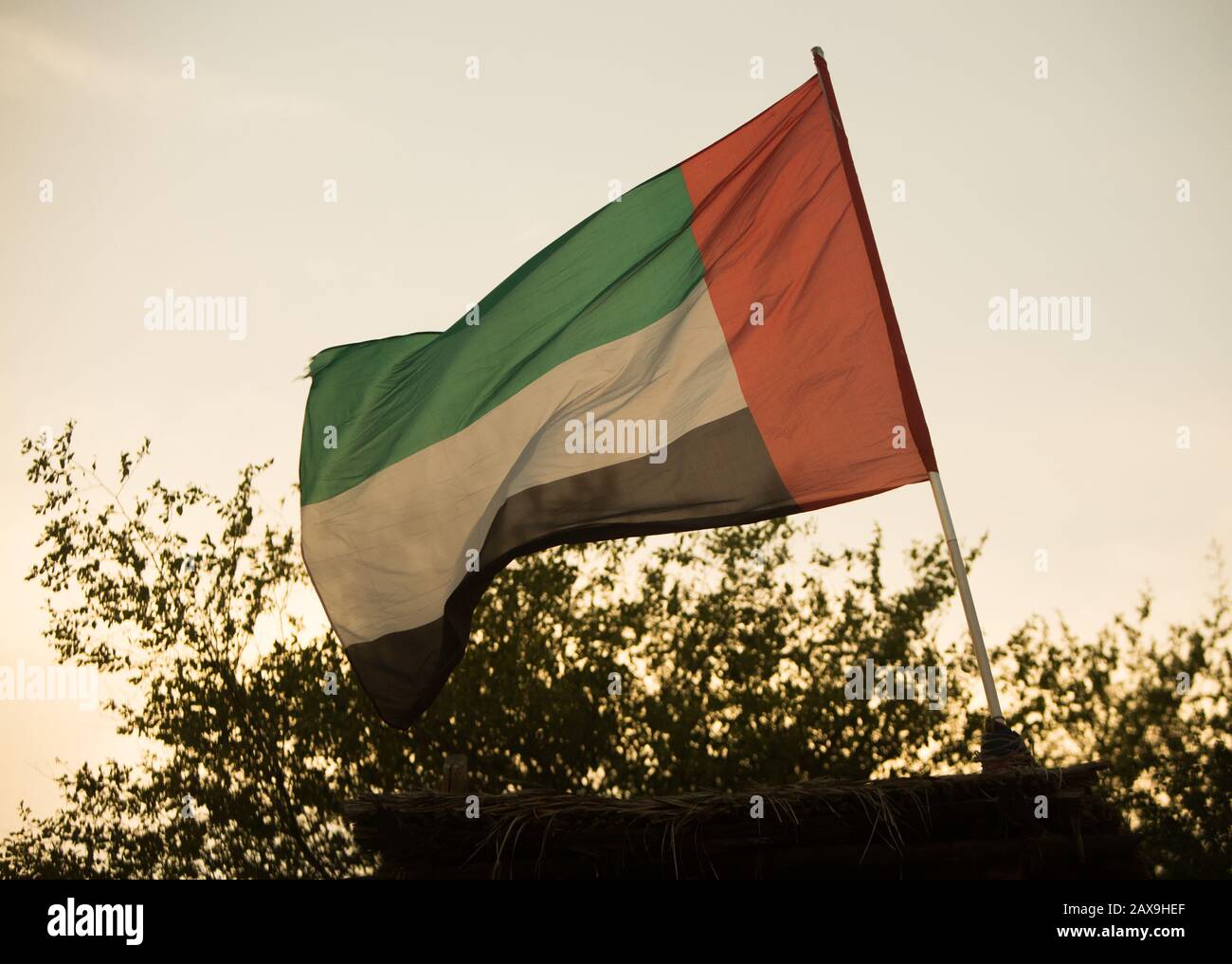 UAE flag and tree in Dubai, United Arab Emirates Stock Photo - Alamy