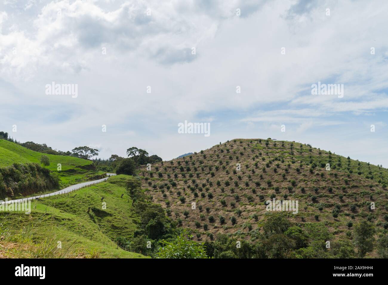 Green and beautiful mountains in Antioquia, Colombia Stock Photo - Alamy
