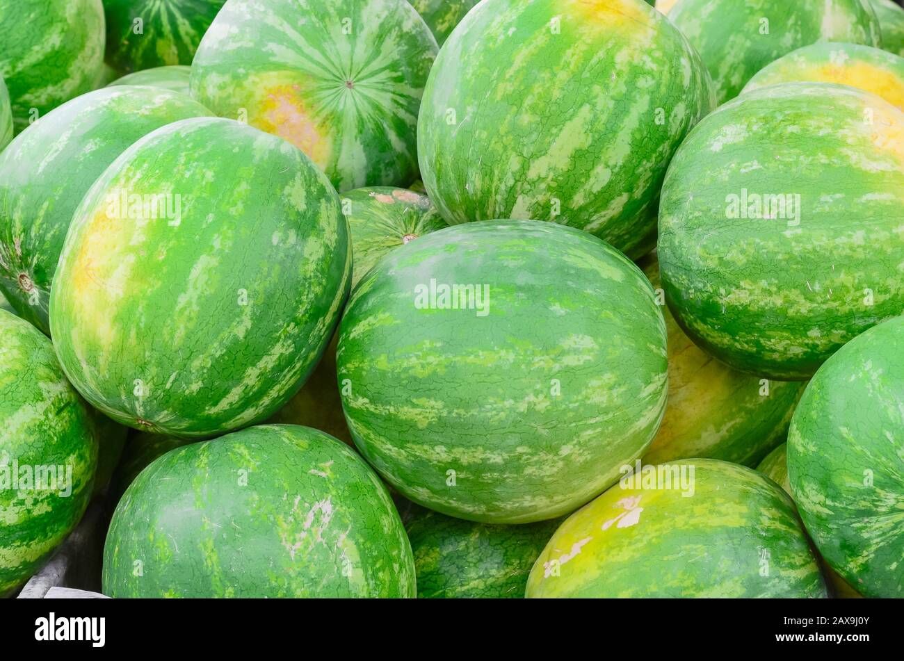 Bunch of raw whole watermelons background at farmer market in America ...