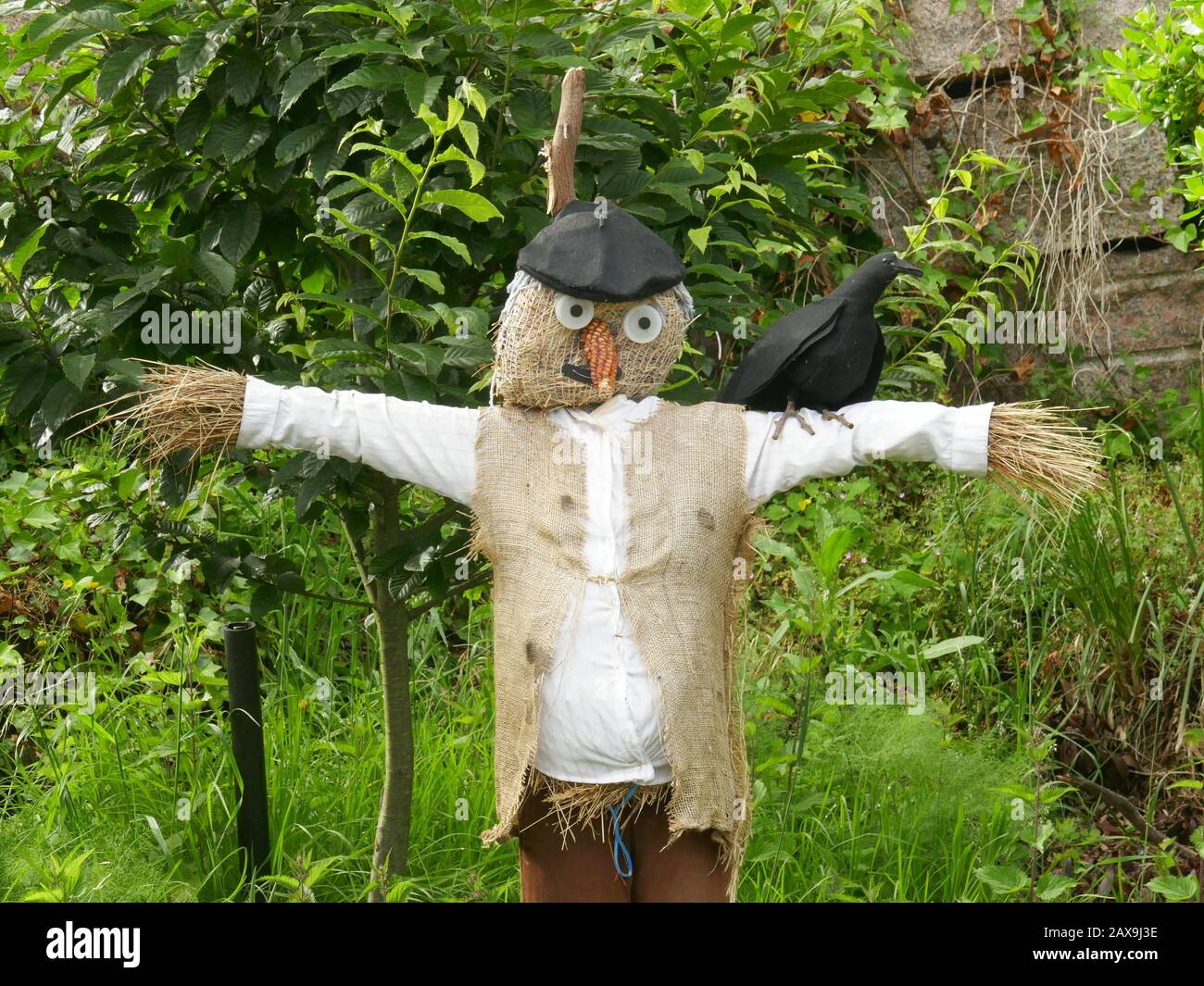Scarecrow made of hay, with burlap vest, corn nose a beret and crow on ...