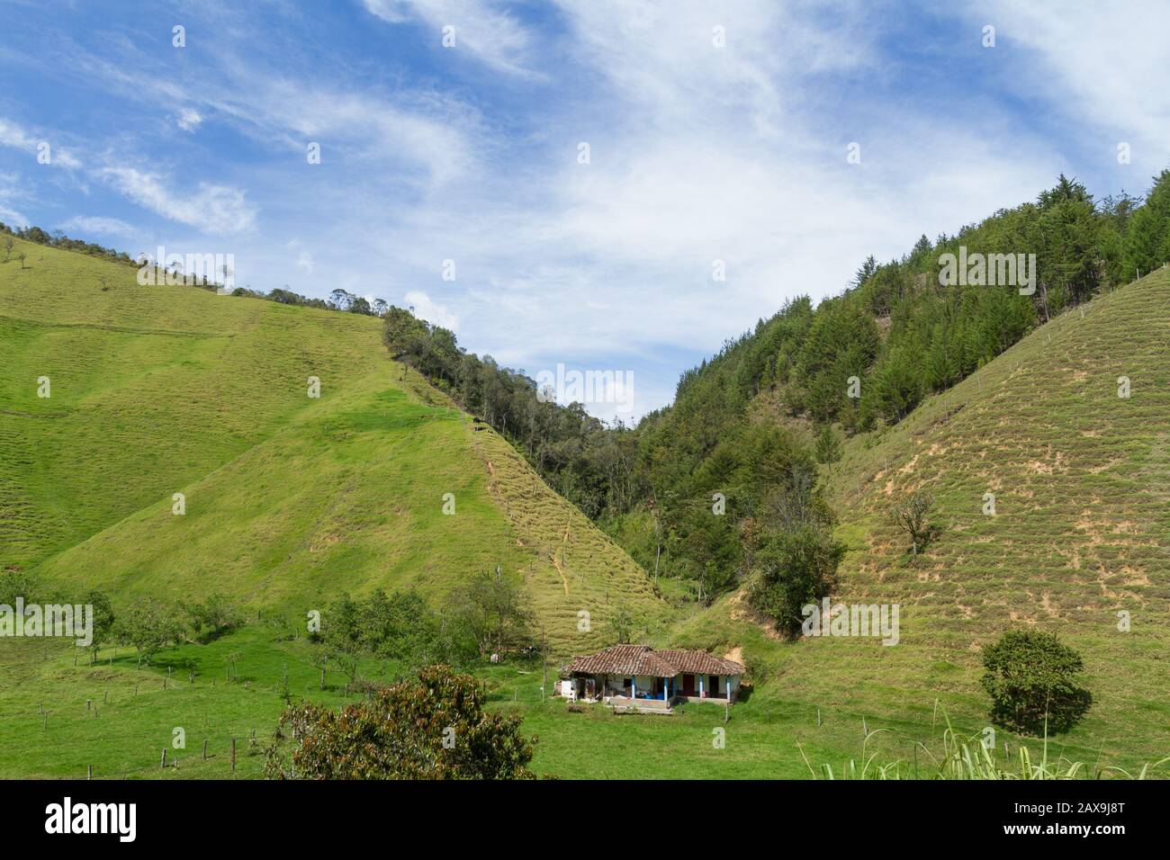 Green and beautiful mountains in Antioquia, Colombia Stock Photo - Alamy
