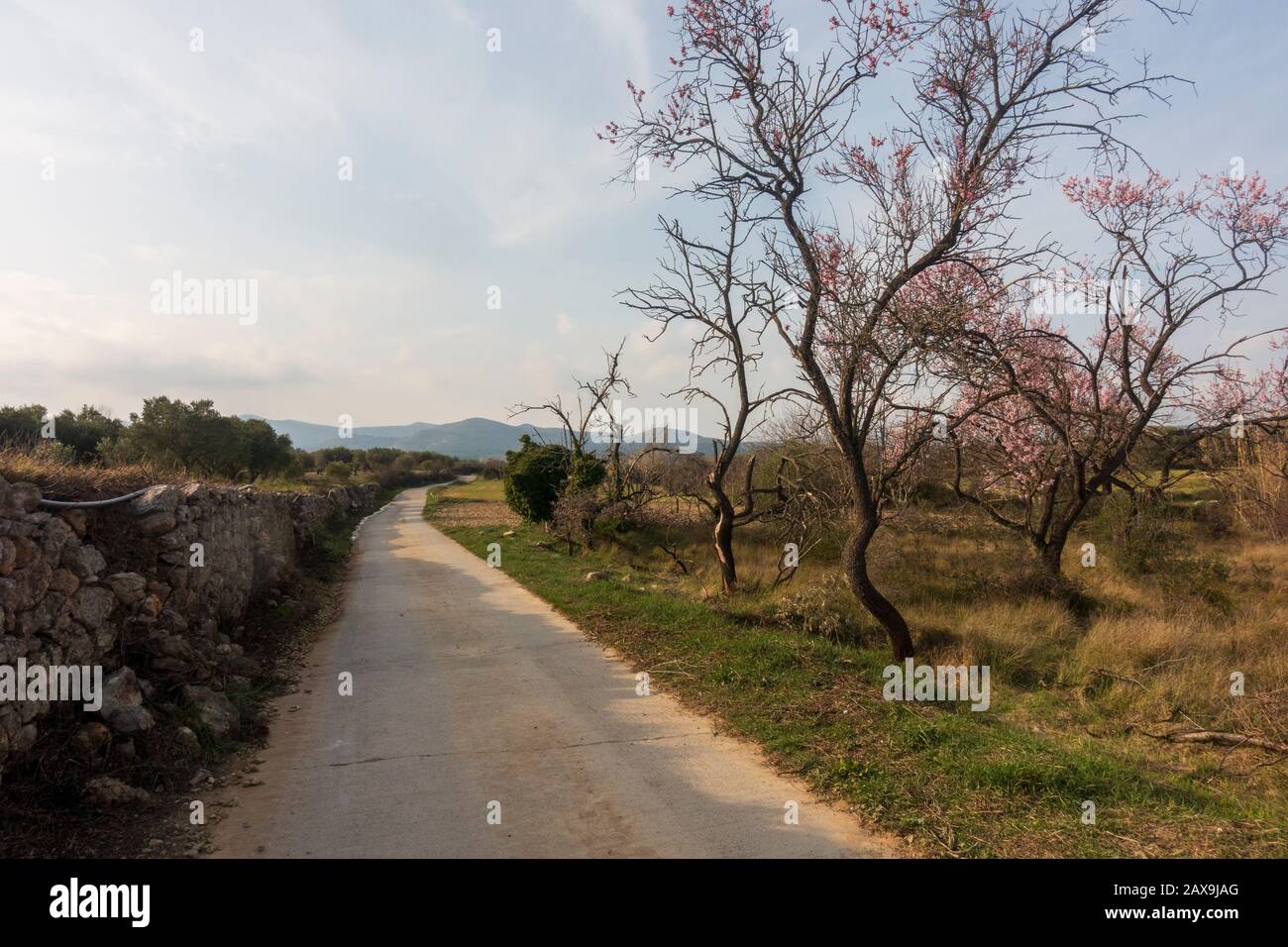 The surroundings of the town of Sant Mateu, Spain Stock Photo - Alamy