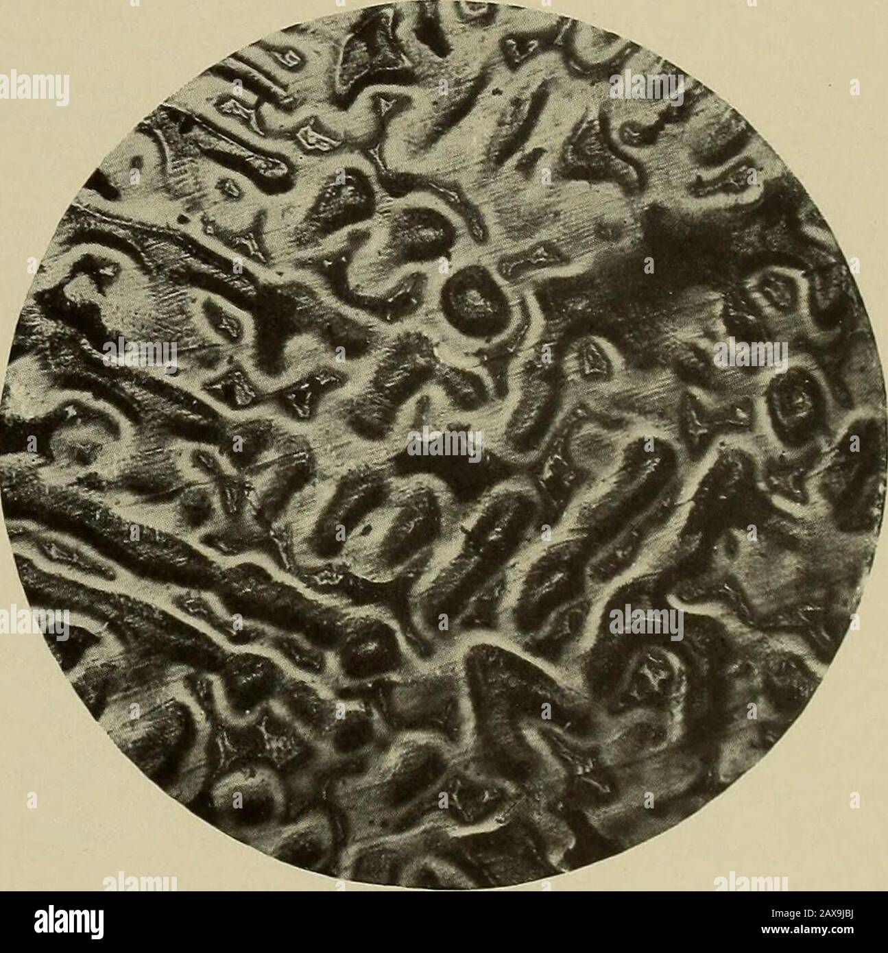 Standard test specimens of zinc bronze (Cu88, Sn10, Zn2)--Parts I and ...