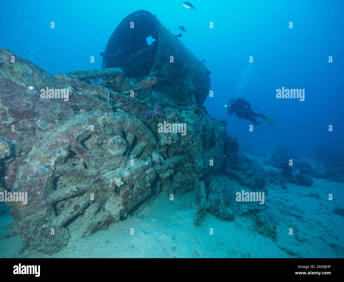 Reef life and old wrecks hi-res stock photography and images - Alamy