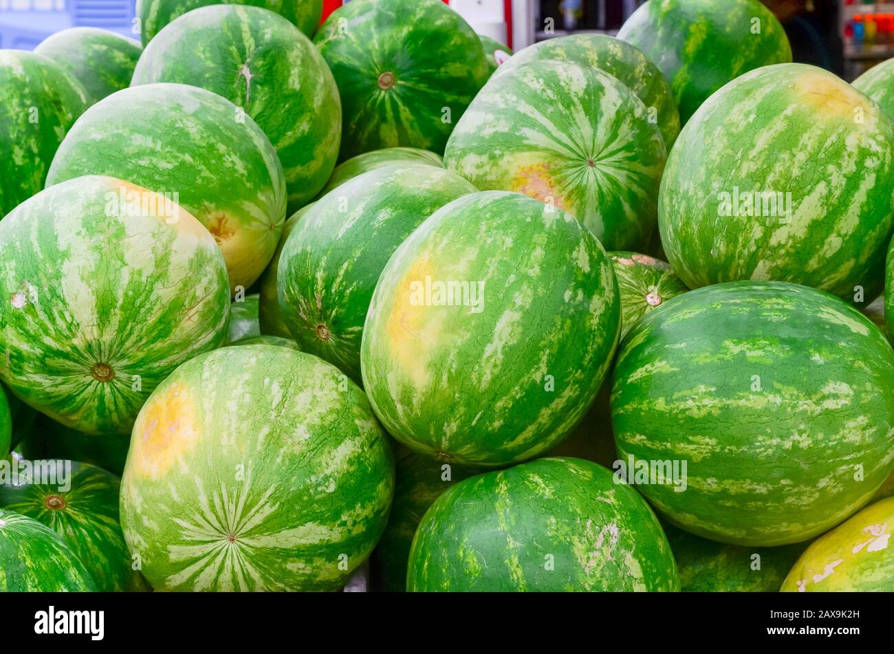 Bunch of raw whole watermelons background at farmer market in America ...