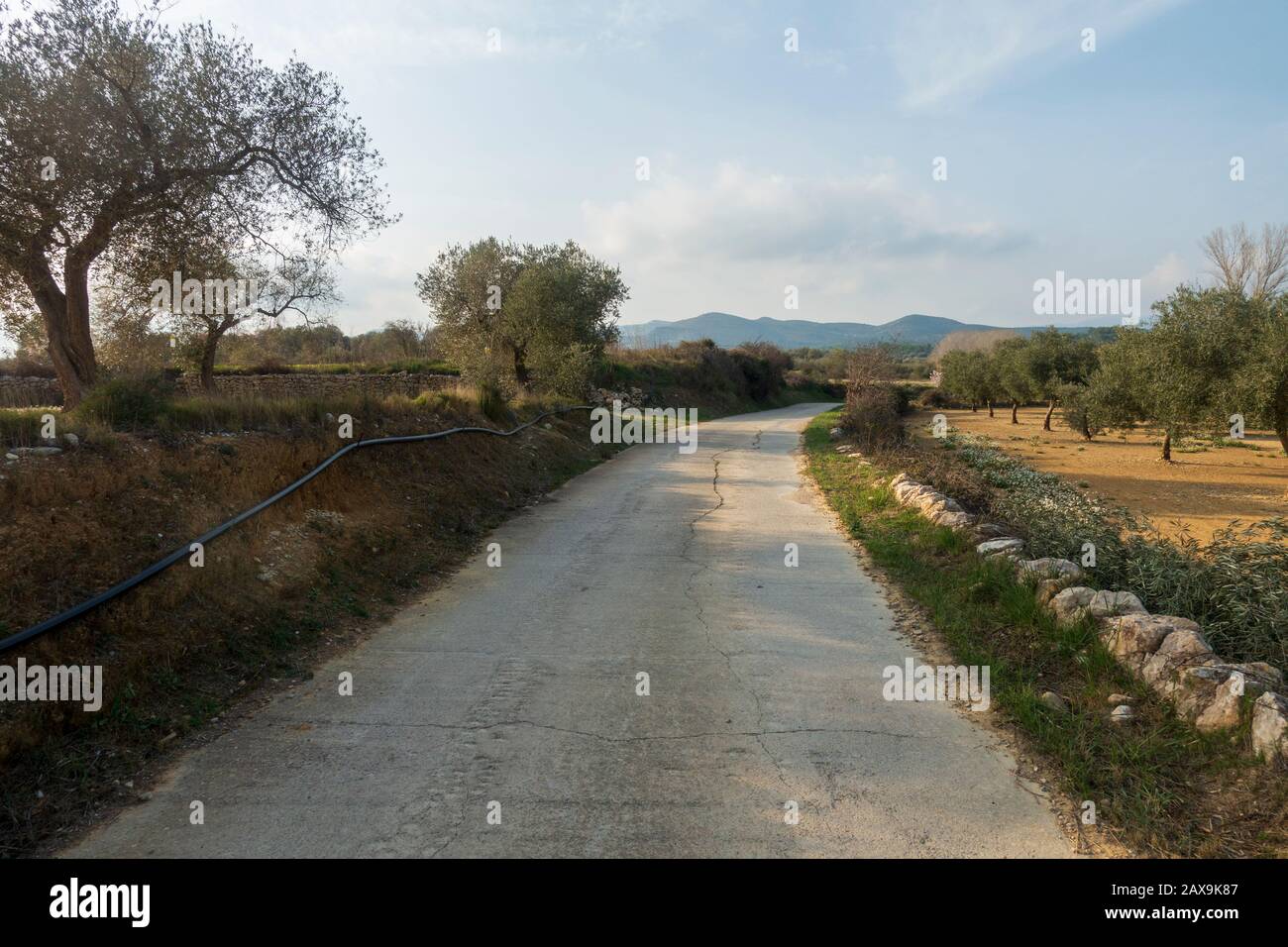 The surroundings of the town of Sant Mateu, Spain Stock Photo - Alamy
